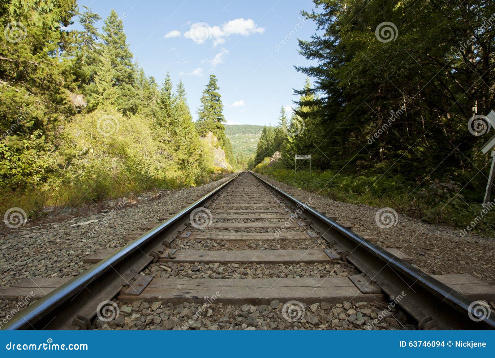 Railway Tracks through Forest Stock Photo - Image of transport, iron ...
