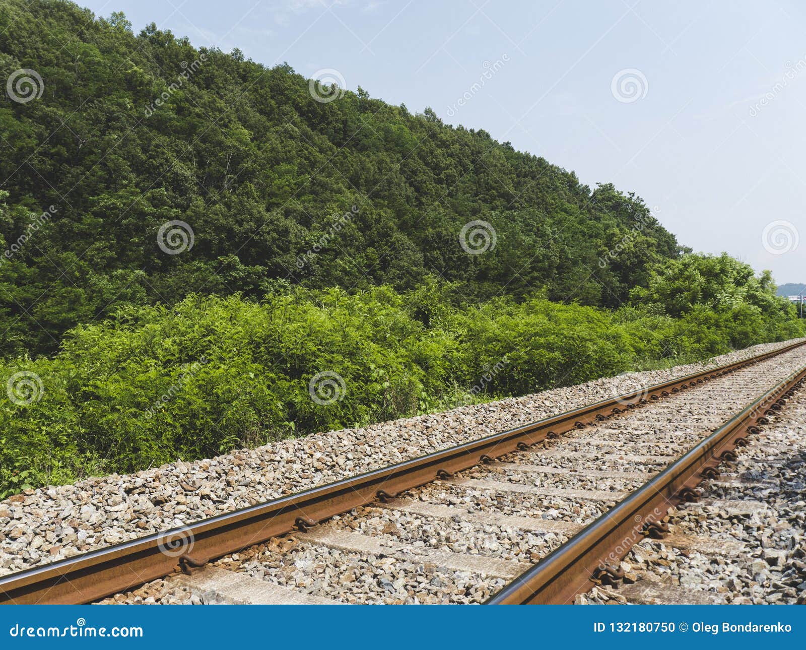 Railway Tracks in the Forest Stock Photo - Image of transport, close ...