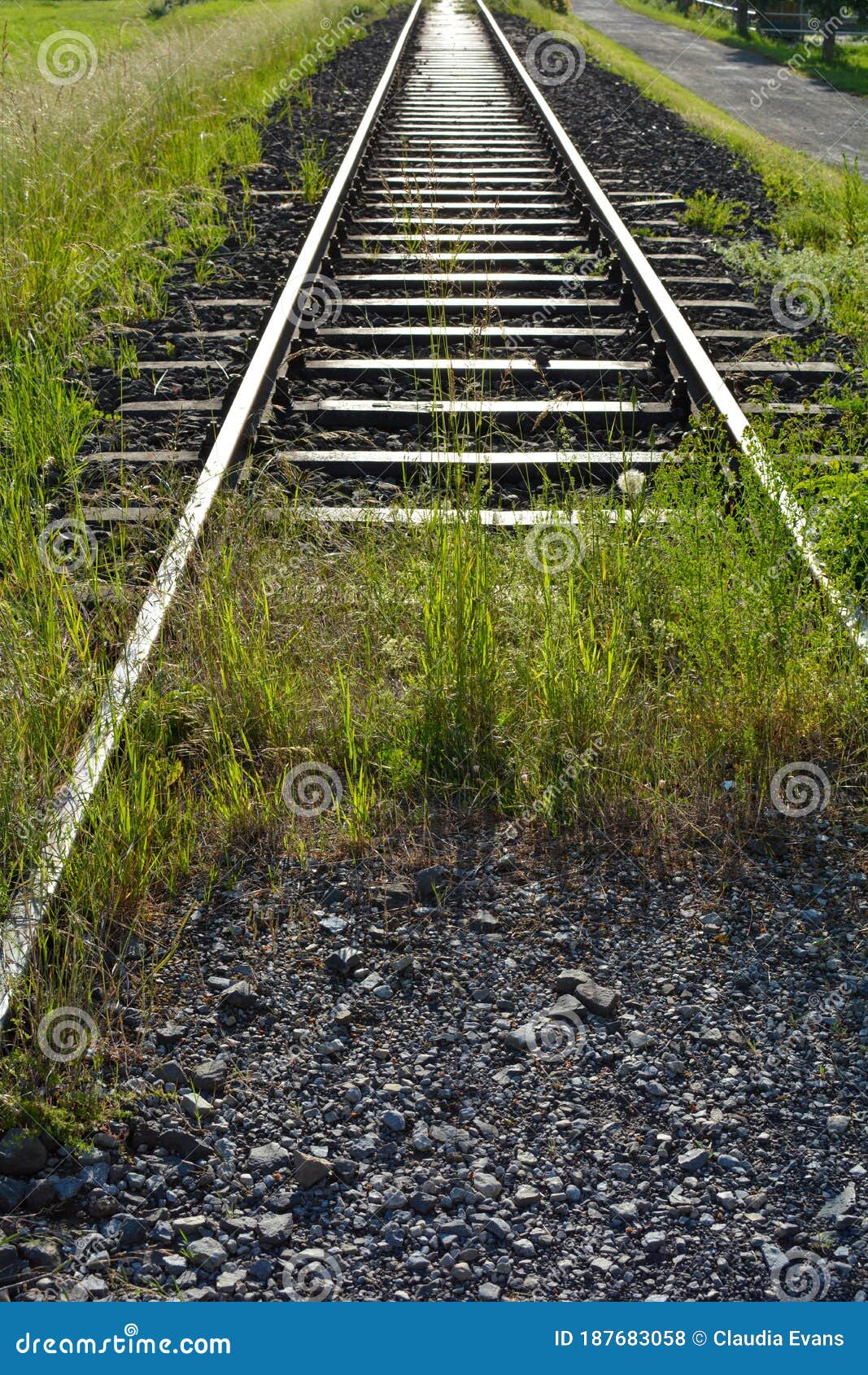 Railway Tracks in Nature with Tall Green Grass Stock Photo - Image of ...
