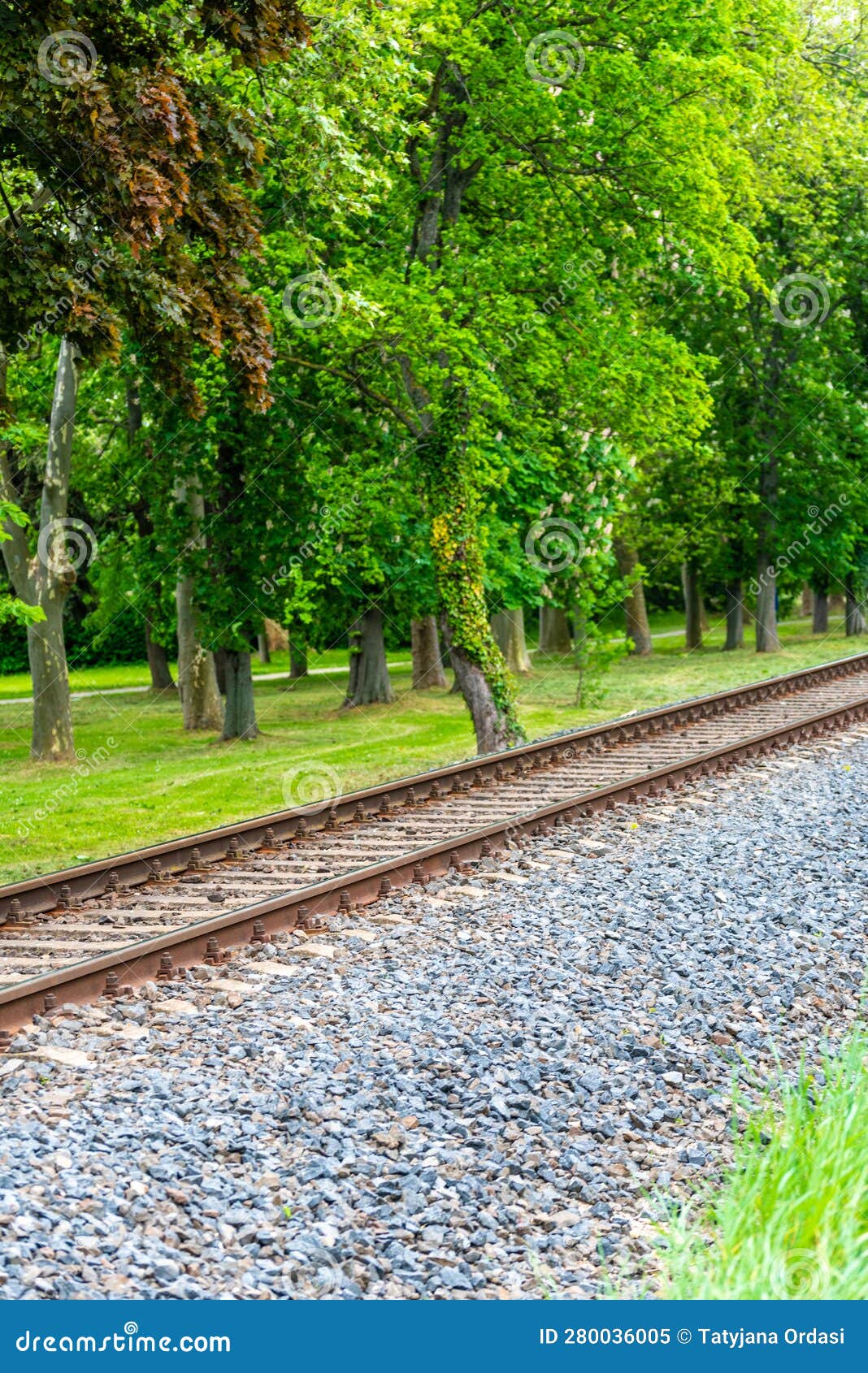 Railway Tracks. Railroad Track between Green Trees and Road Stock Image ...