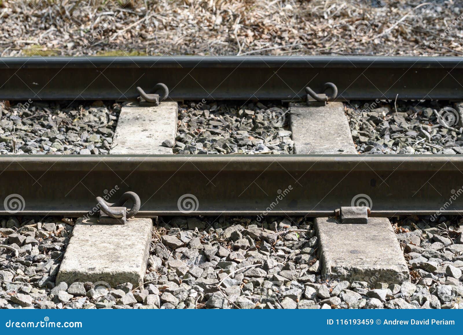 Railway tracks stock image. Image of industry, transportation - 116193459