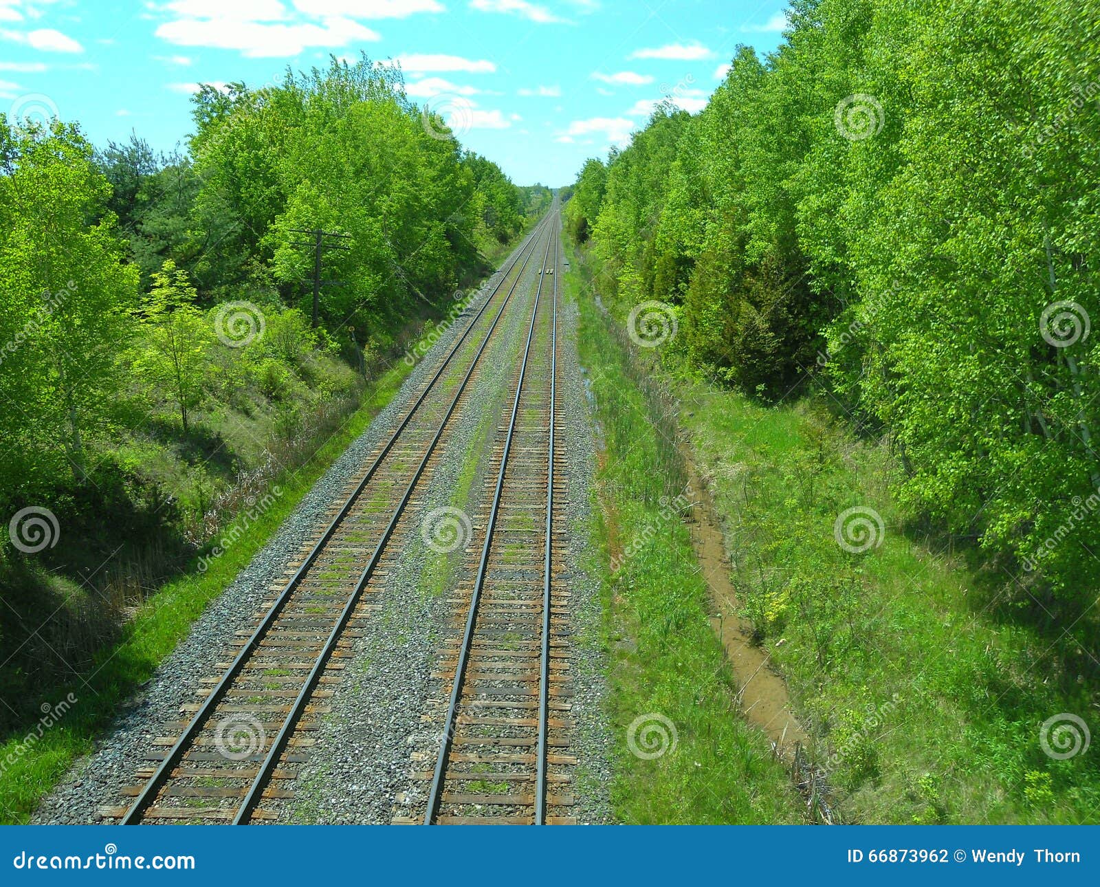 Tracks Of Narrow Gauge Railway. Stock Photo | CartoonDealer.com #116215218