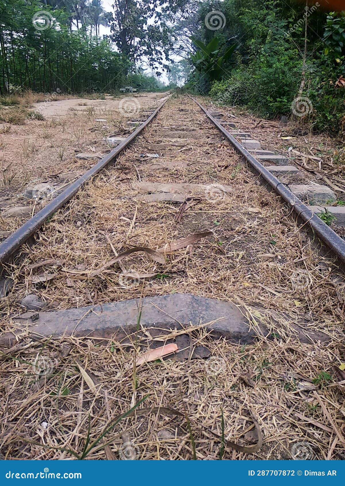 Railway Tracks in a Remote Village Stock Photo - Image of remote, rail ...