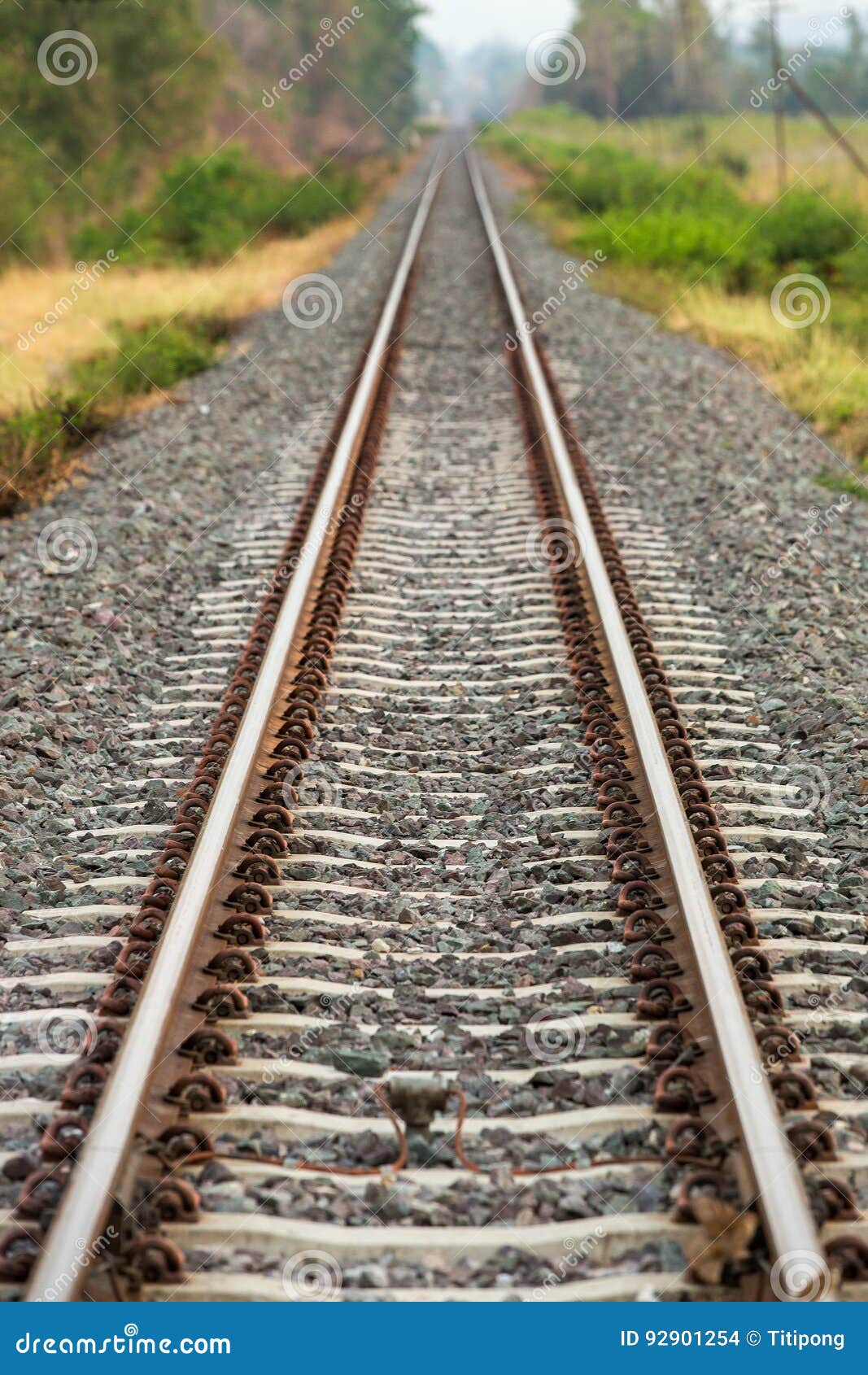Railway Tracks in a Rural Scene with Stock Photo - Image of rails ...