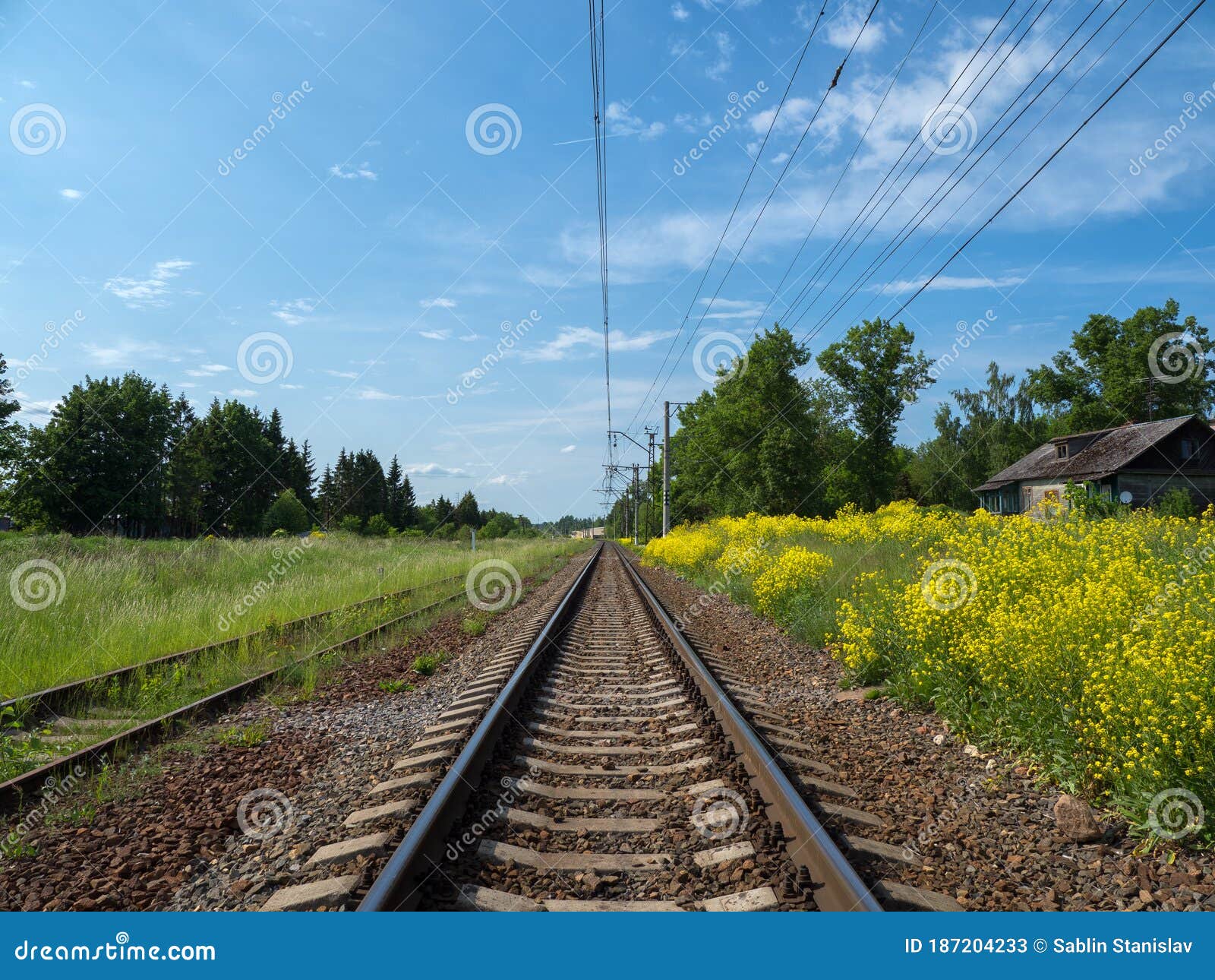 Railway Tracks among Yellow Fields, Country Railroad Stock Image ...