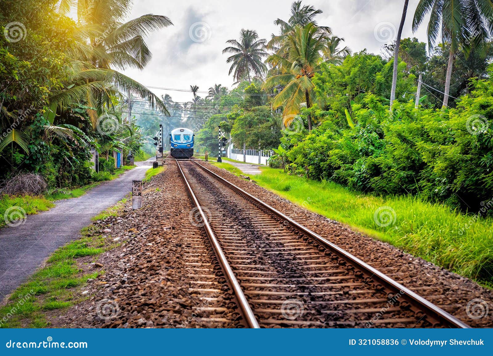 Railway and Train Running through the Jungle Tropical Forest Stock ...