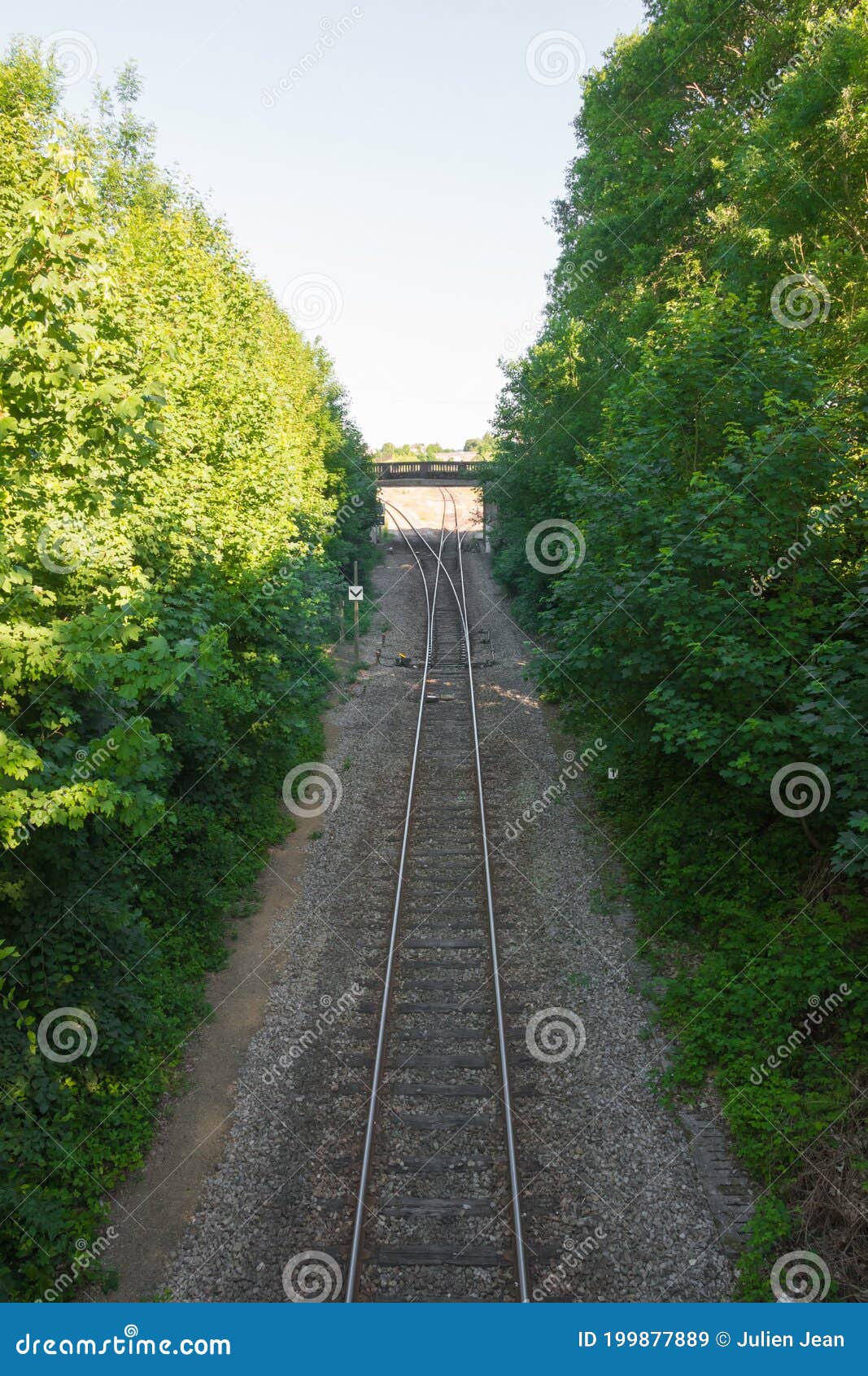 Railway, Train Tracks Going through a Forest Stock Image - Image of ...