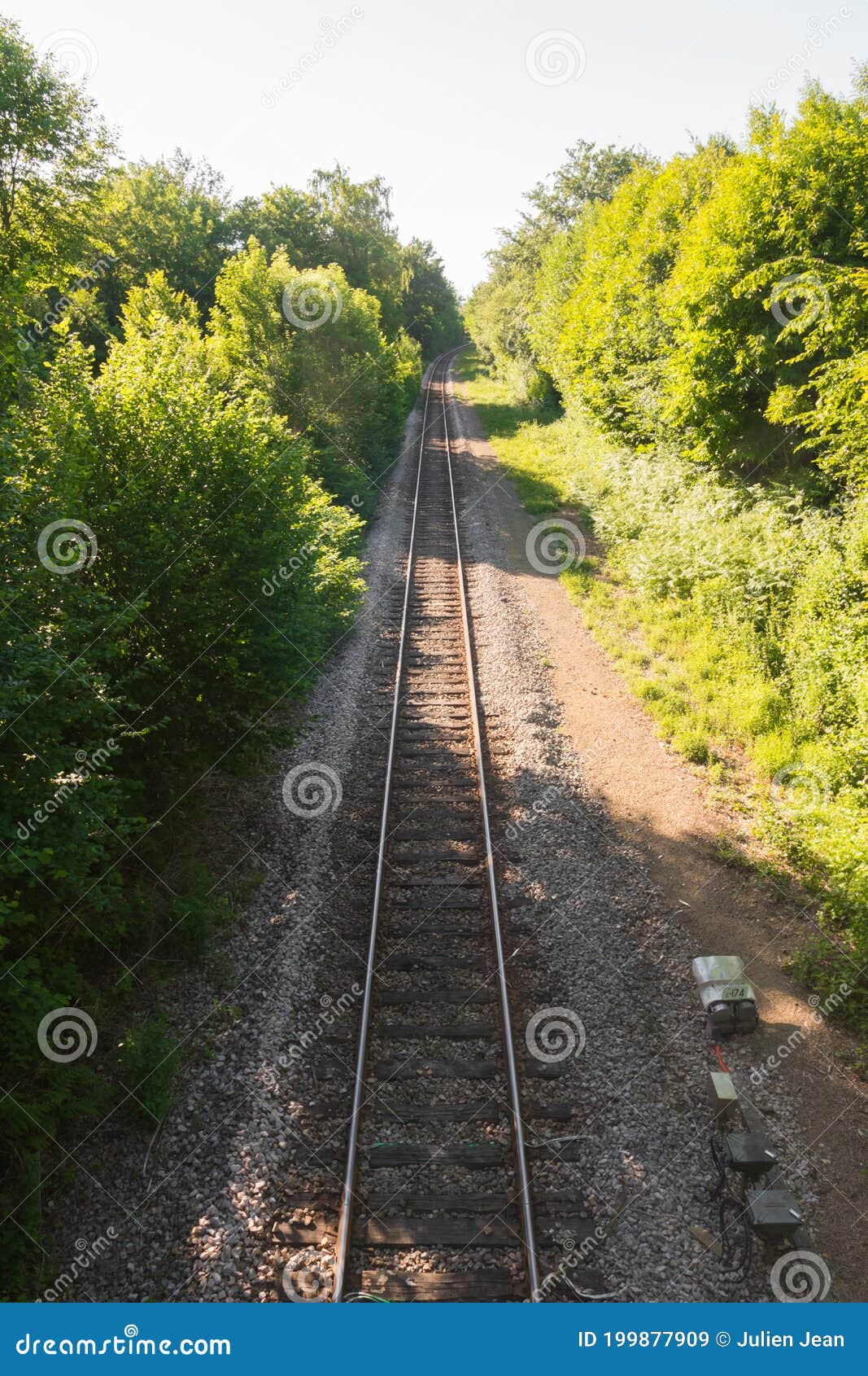 Railway, Train Tracks Going through a Forest Stock Image - Image of ...