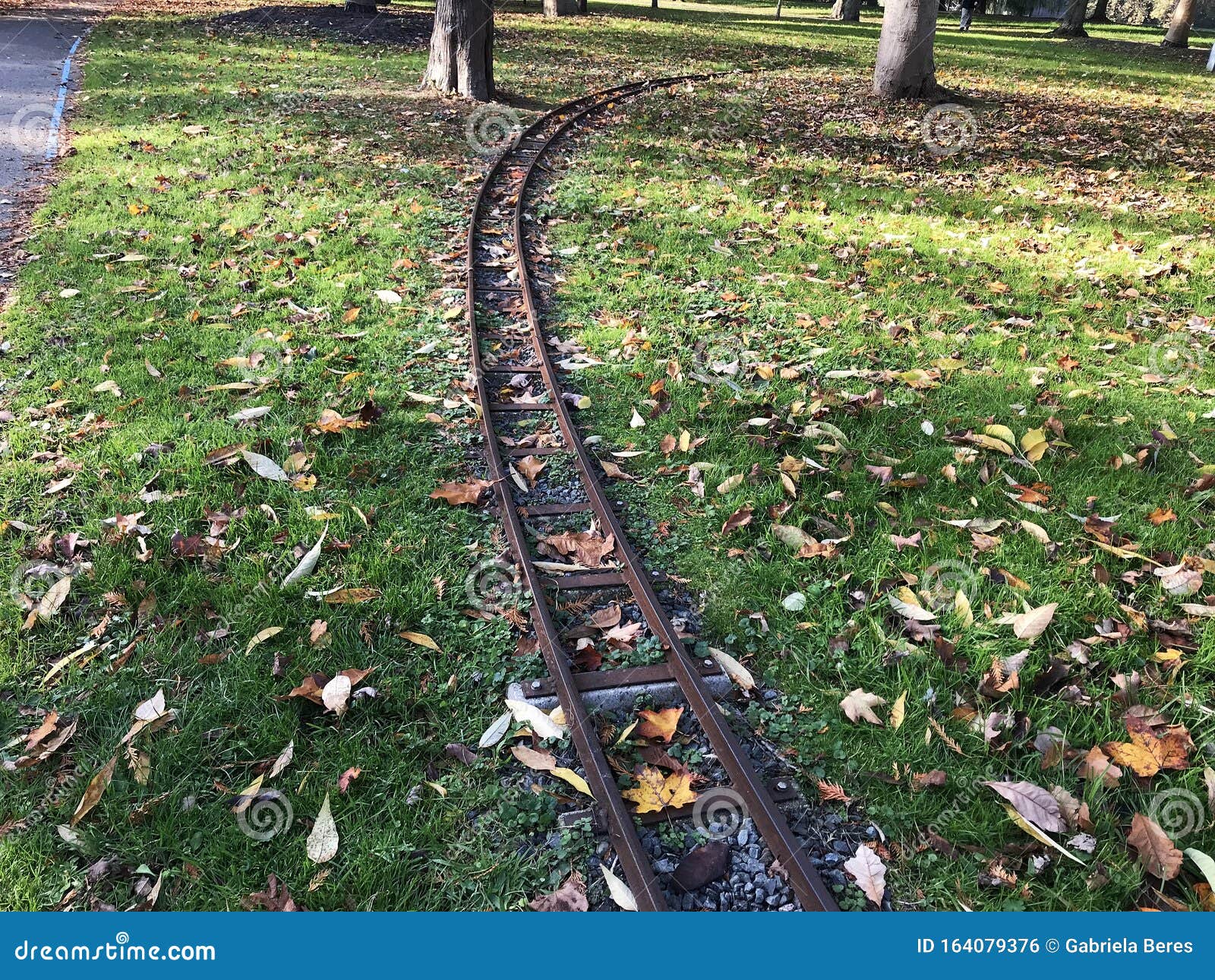 Railway or Tramway Track in a Park. Stock Photo - Image of industry ...