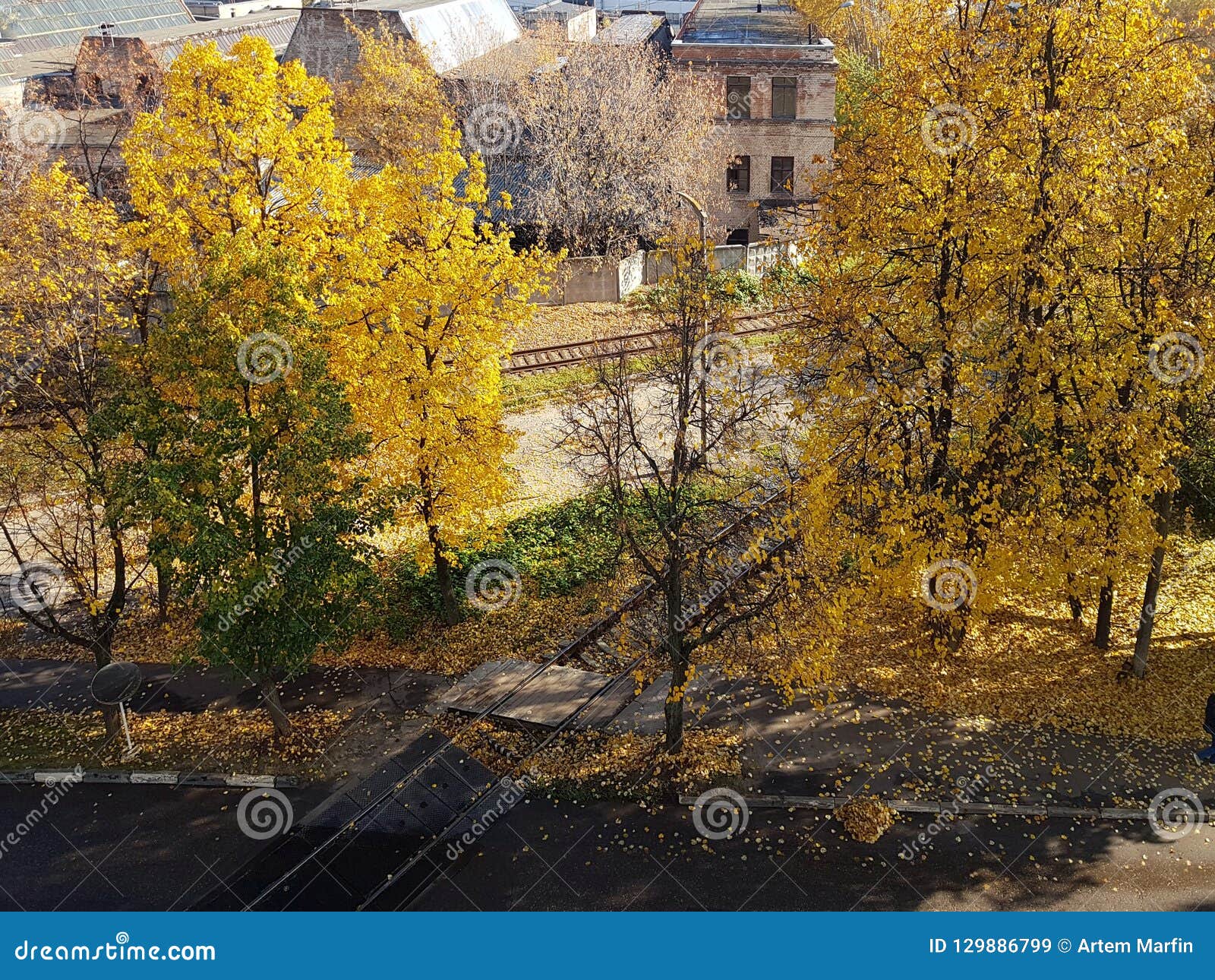 Railway between the trees. stock image. Image of railway - 129886799
