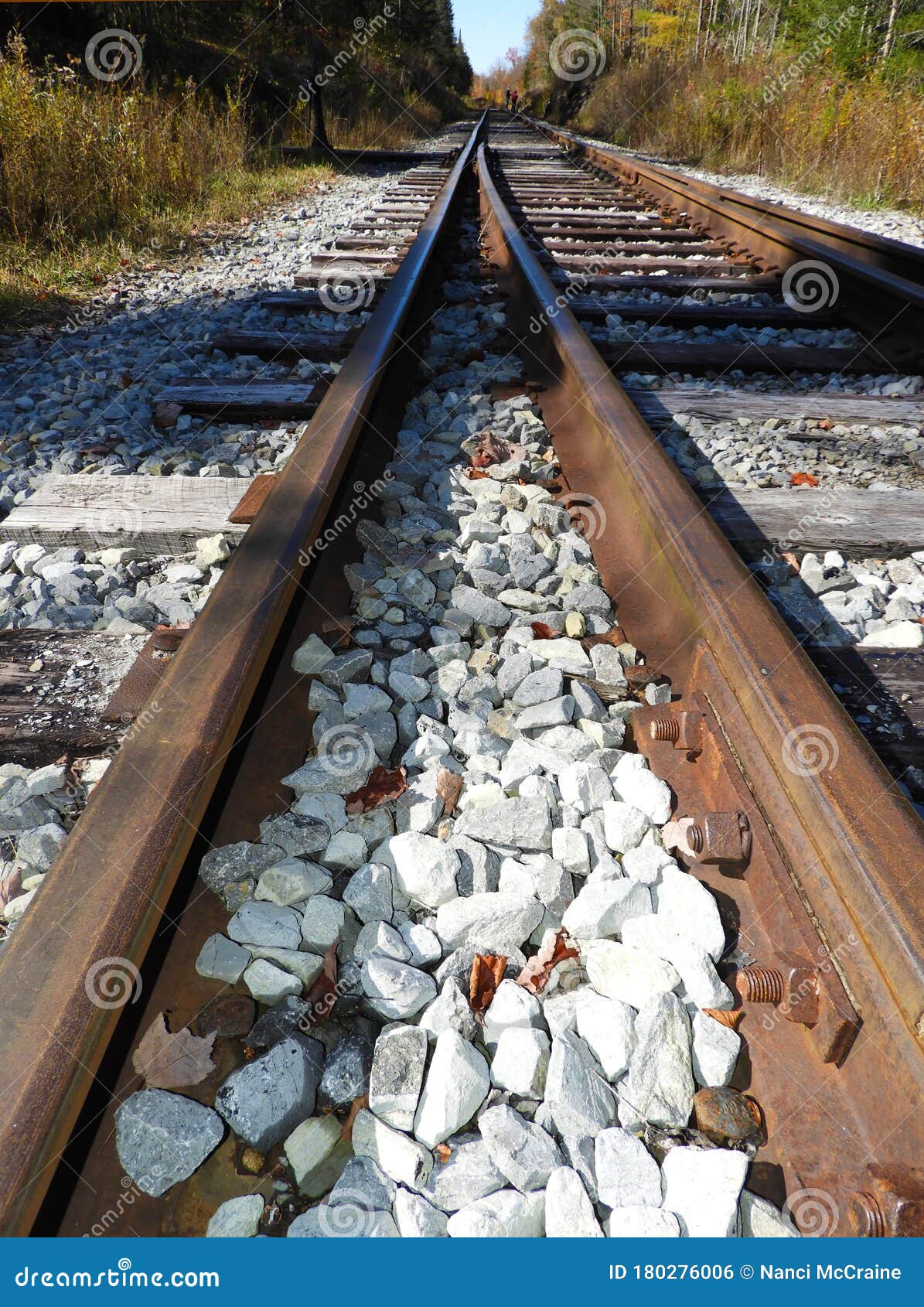 Railway Turnout and Switch Rails in Adirondack Scenic Railraid Stock ...