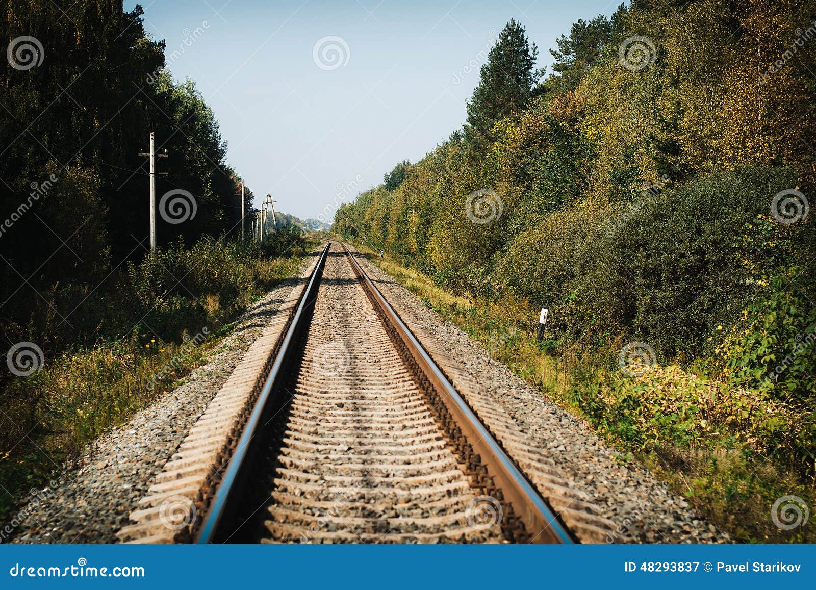 Railway in the woods stock image. Image of blue, travel - 48293837