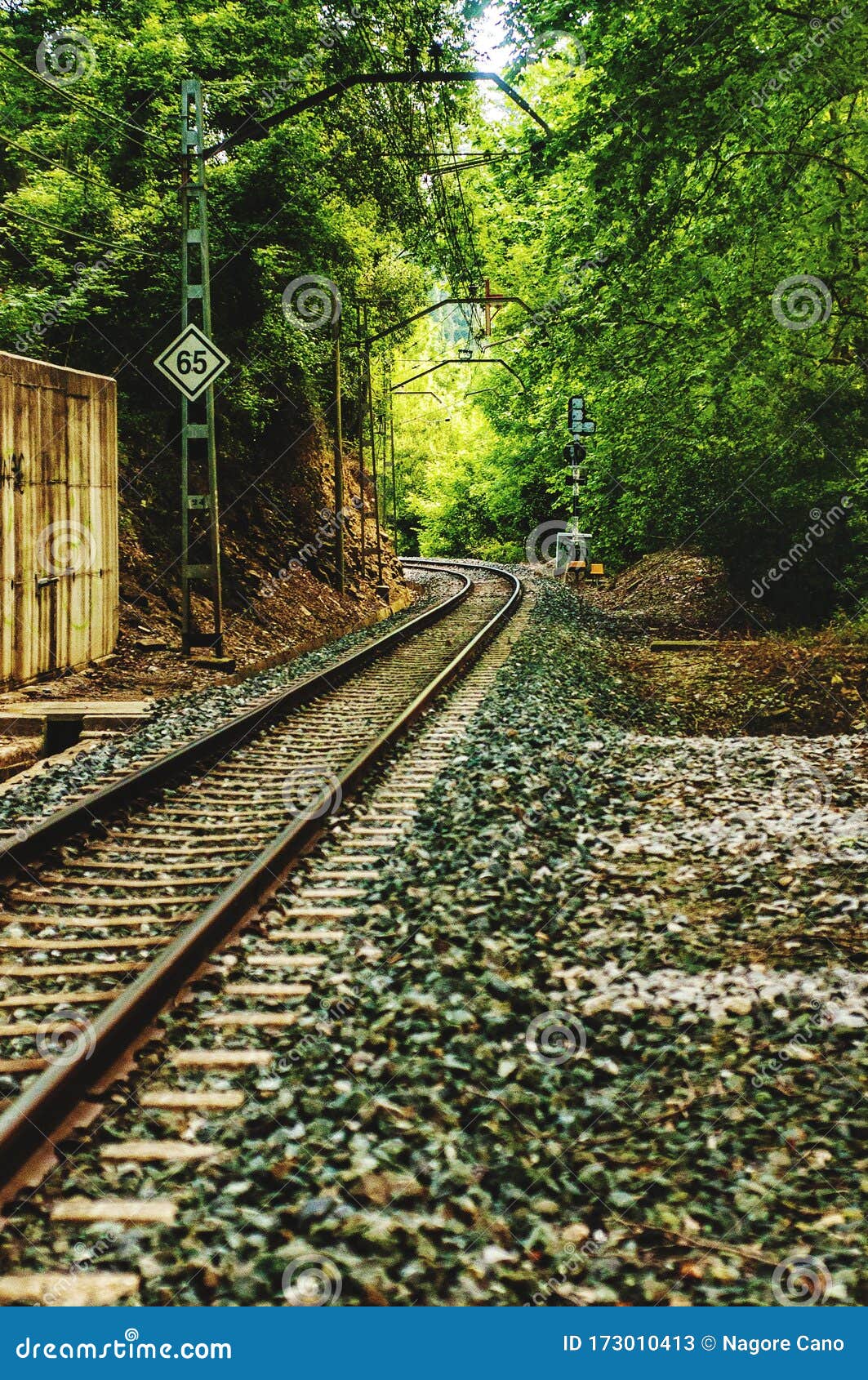 Railway in the Woods with Traffic Sing Stock Image - Image of beauty ...
