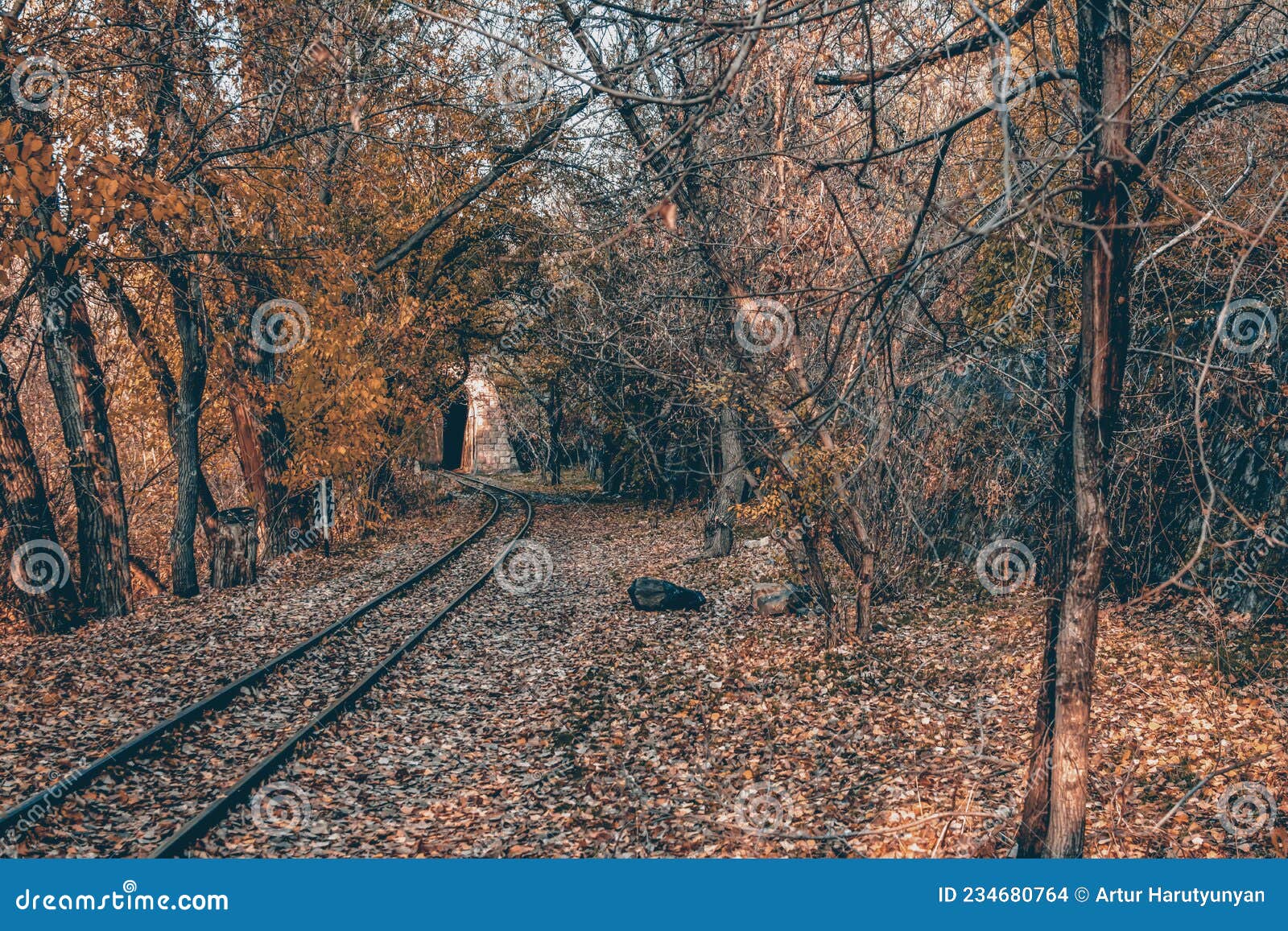 Railways Trains Pass through a Tunnel in the Forest. Railways in the ...