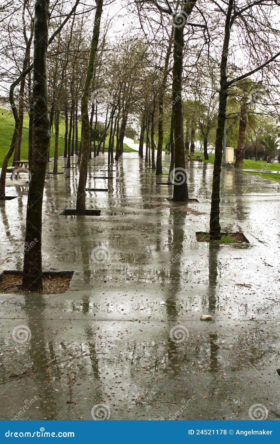 Rain stock photo. Image of ground, green, background - 24521178
