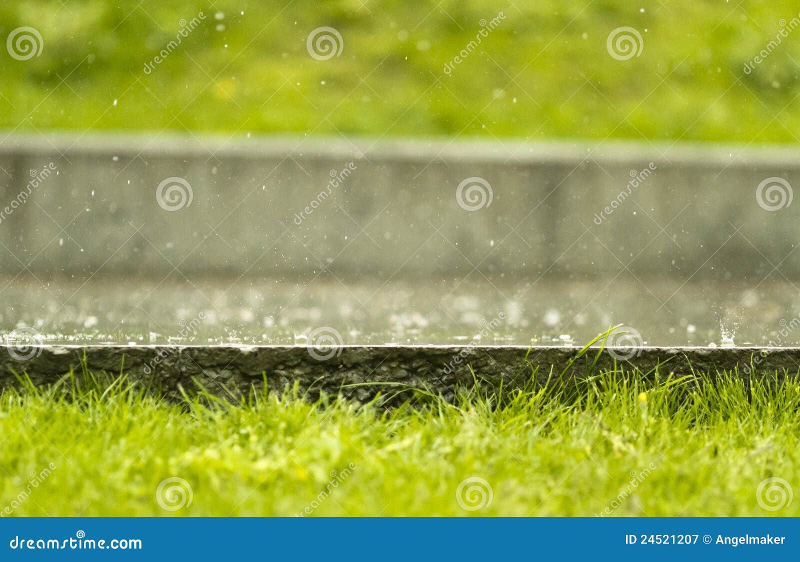 Rain stock image. Image of detail, rain, nature, ground - 24521207
