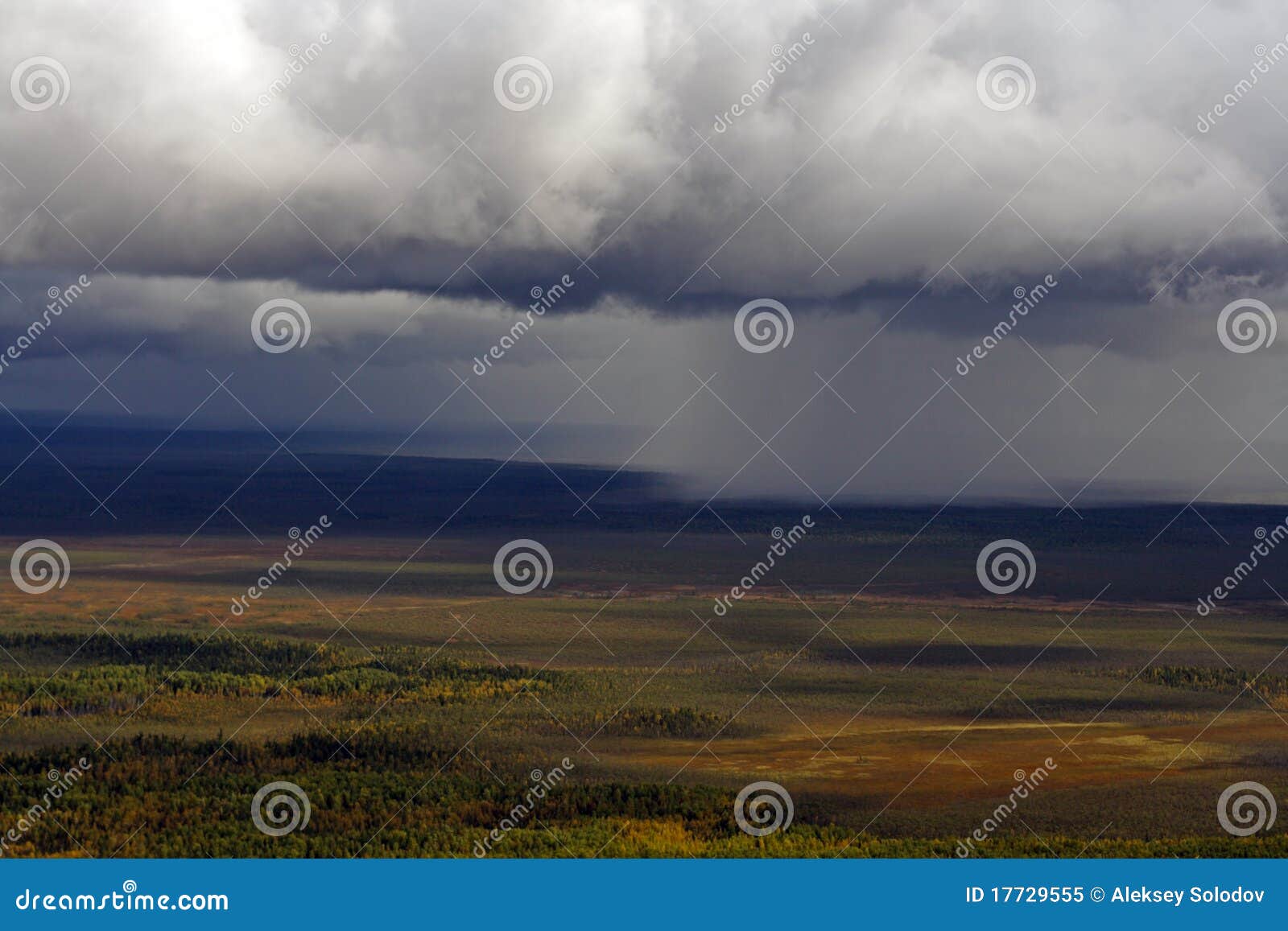 Rain above a taiga stock image. Image of rain, forest - 17729555