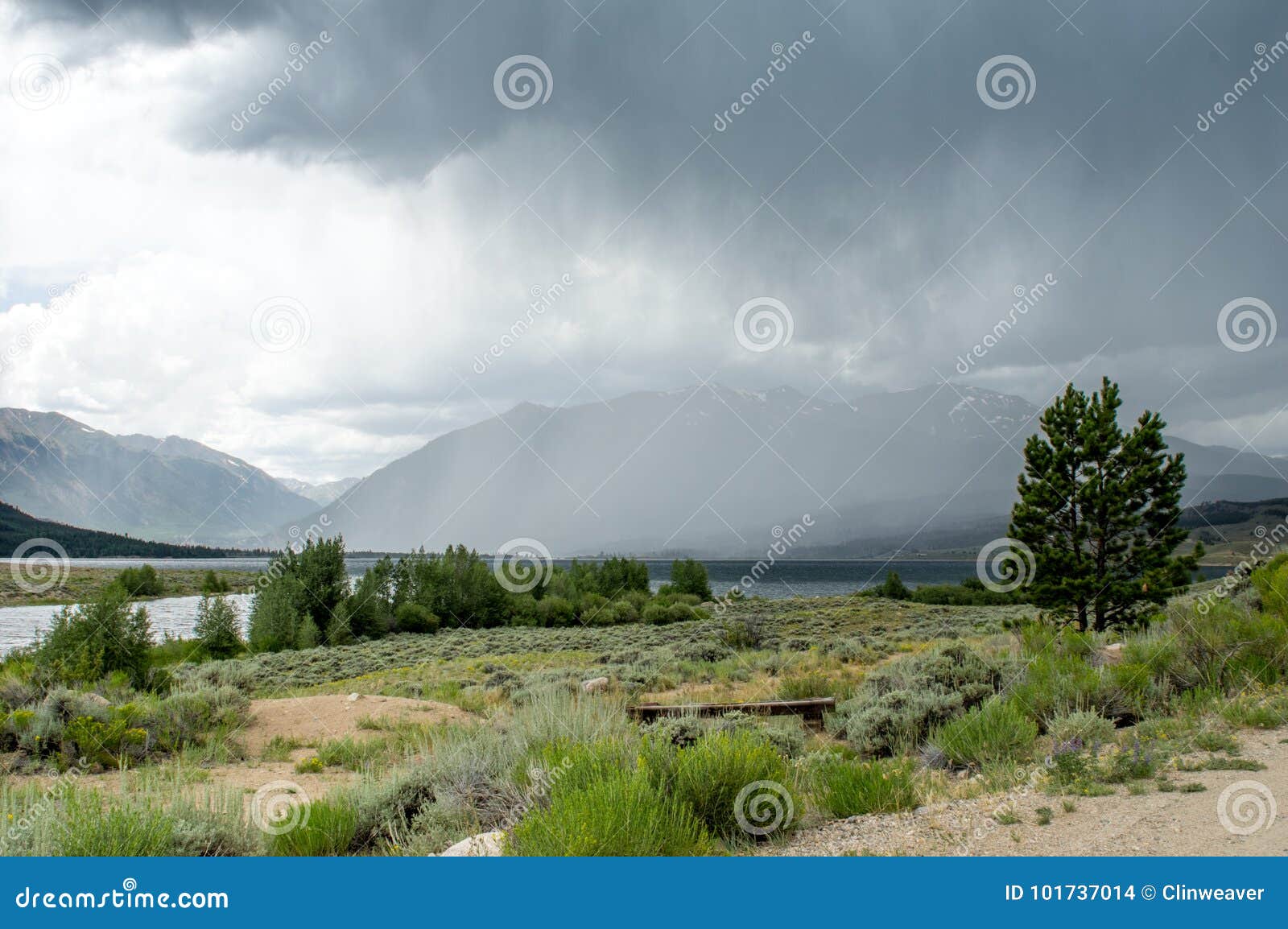 Rain Across the Lake stock photo. Image of shrubs, cliff - 101737014