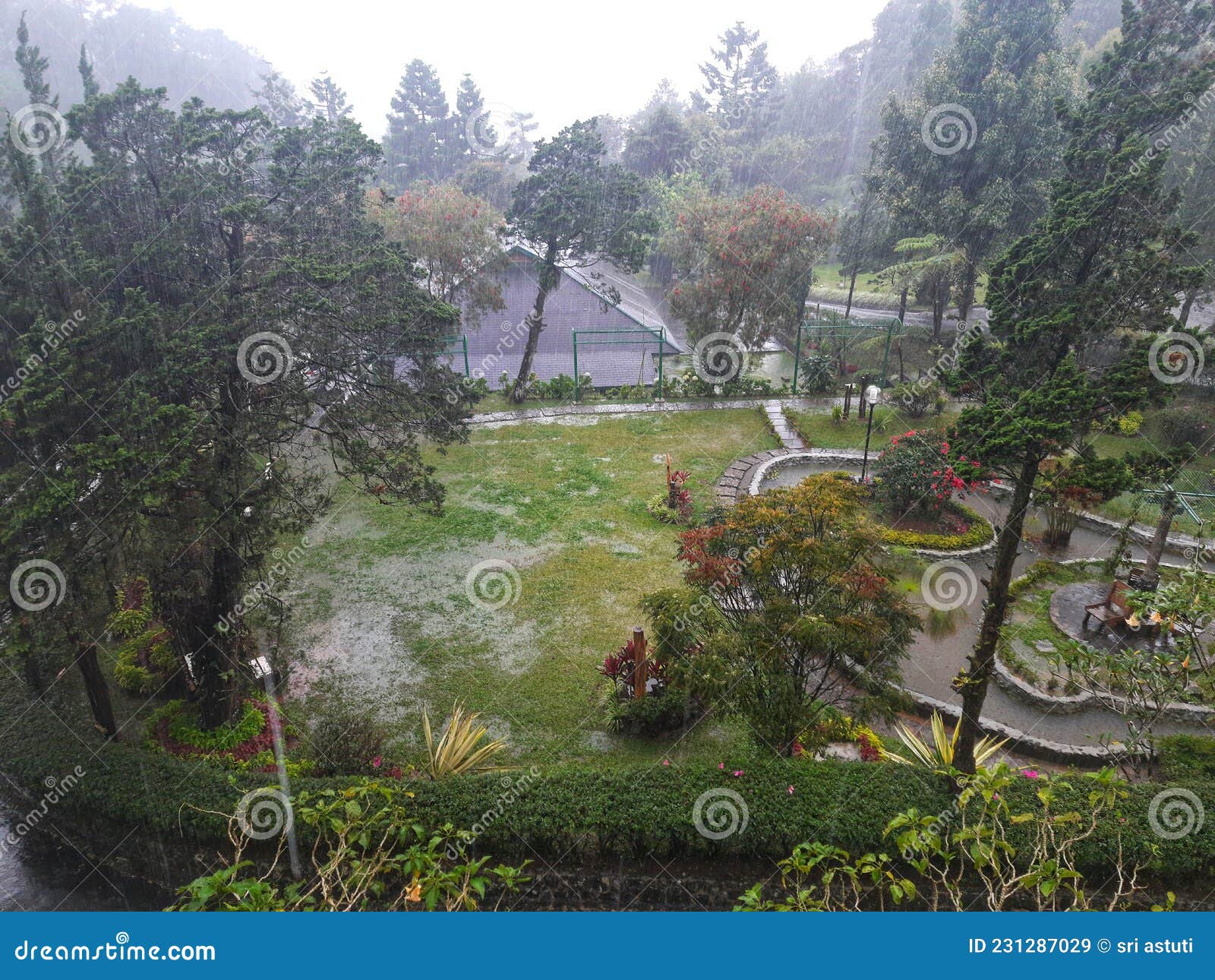 The Rain this Afternoon Was so Heavy that the Park Was almost Flooded ...