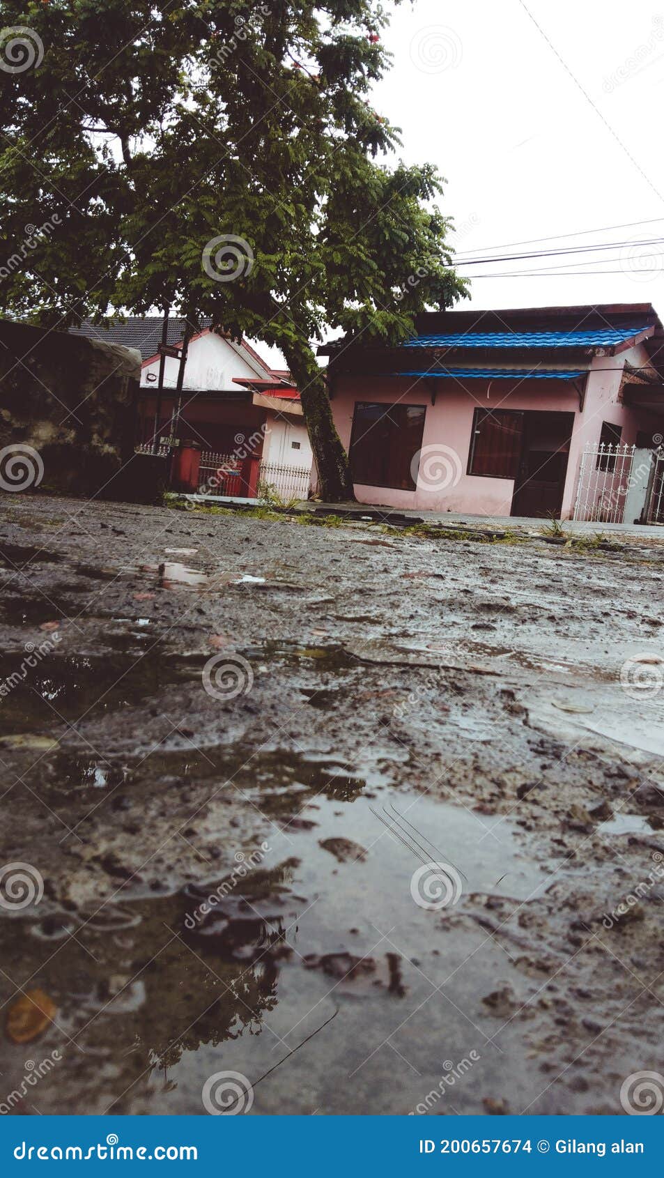 After rain on back yard stock photo. Image of rain, wall - 200657674