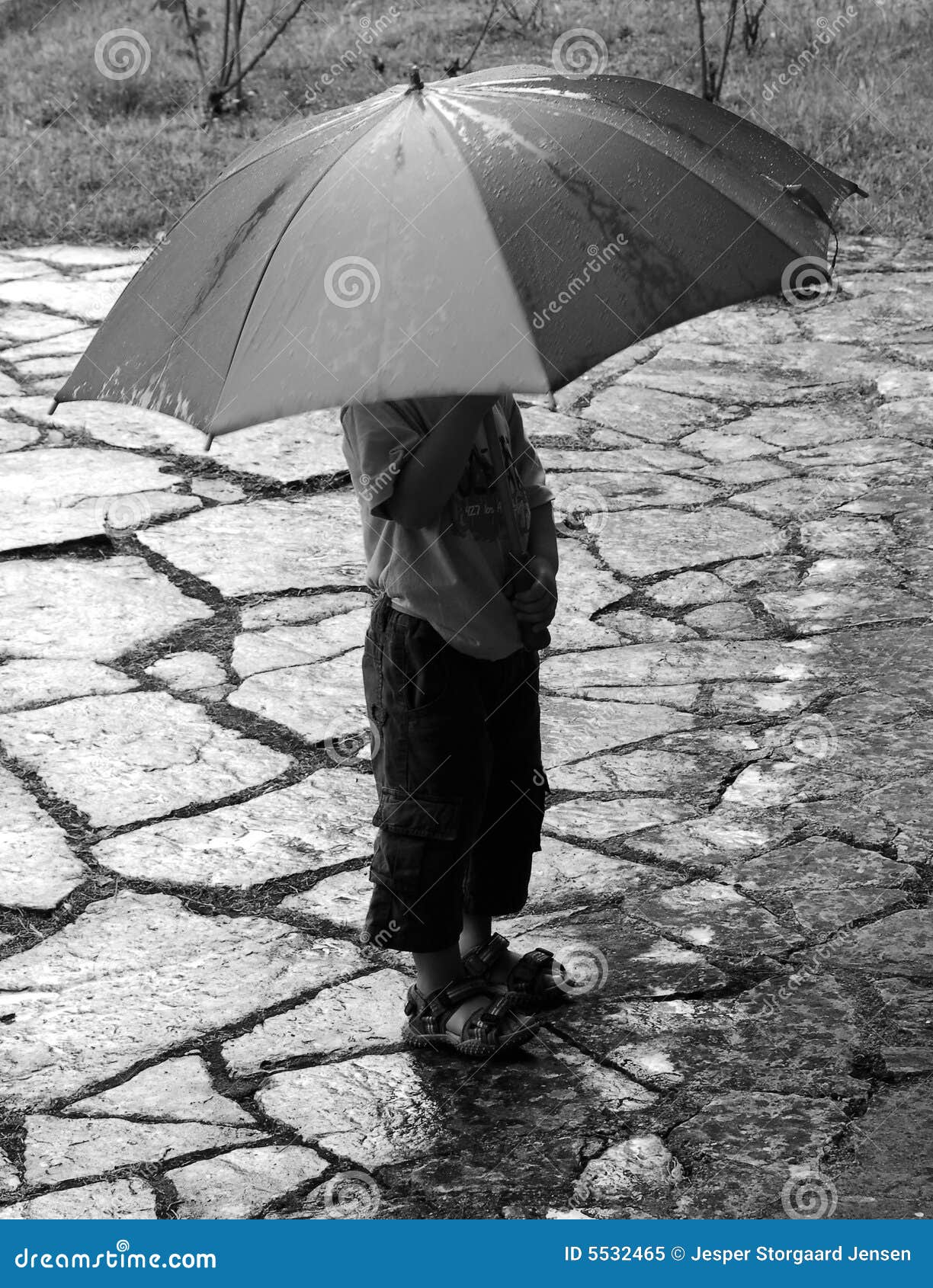 Rain boy stock image. Image of small, autumn, grass, umbrella - 5532465