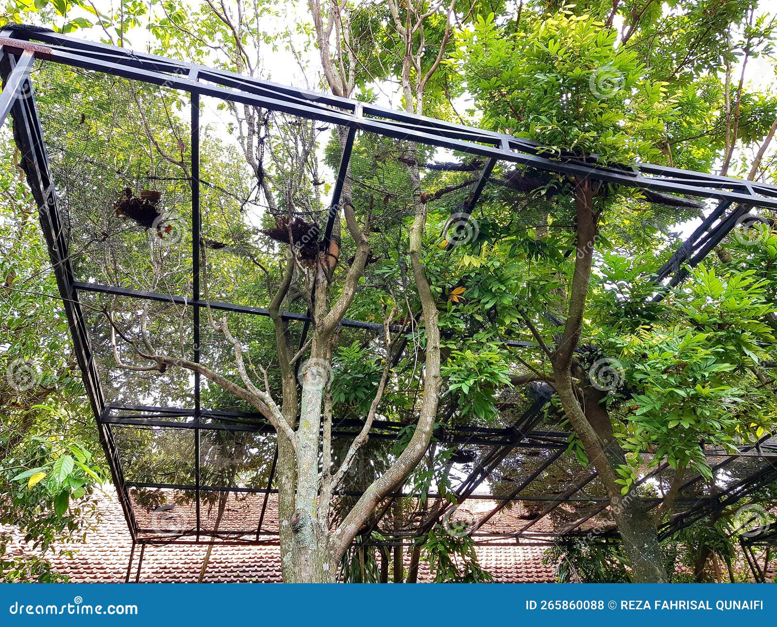 Rain Breaker Nets that Blend with the Trees Stock Photo - Image of ...