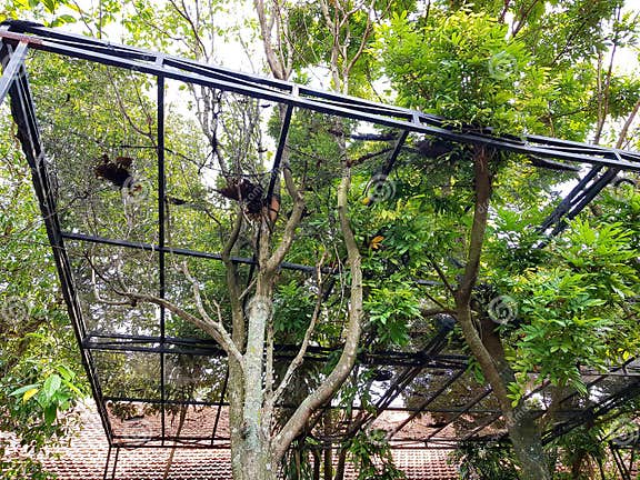 Rain Breaker Nets that Blend with the Trees Stock Photo - Image of ...