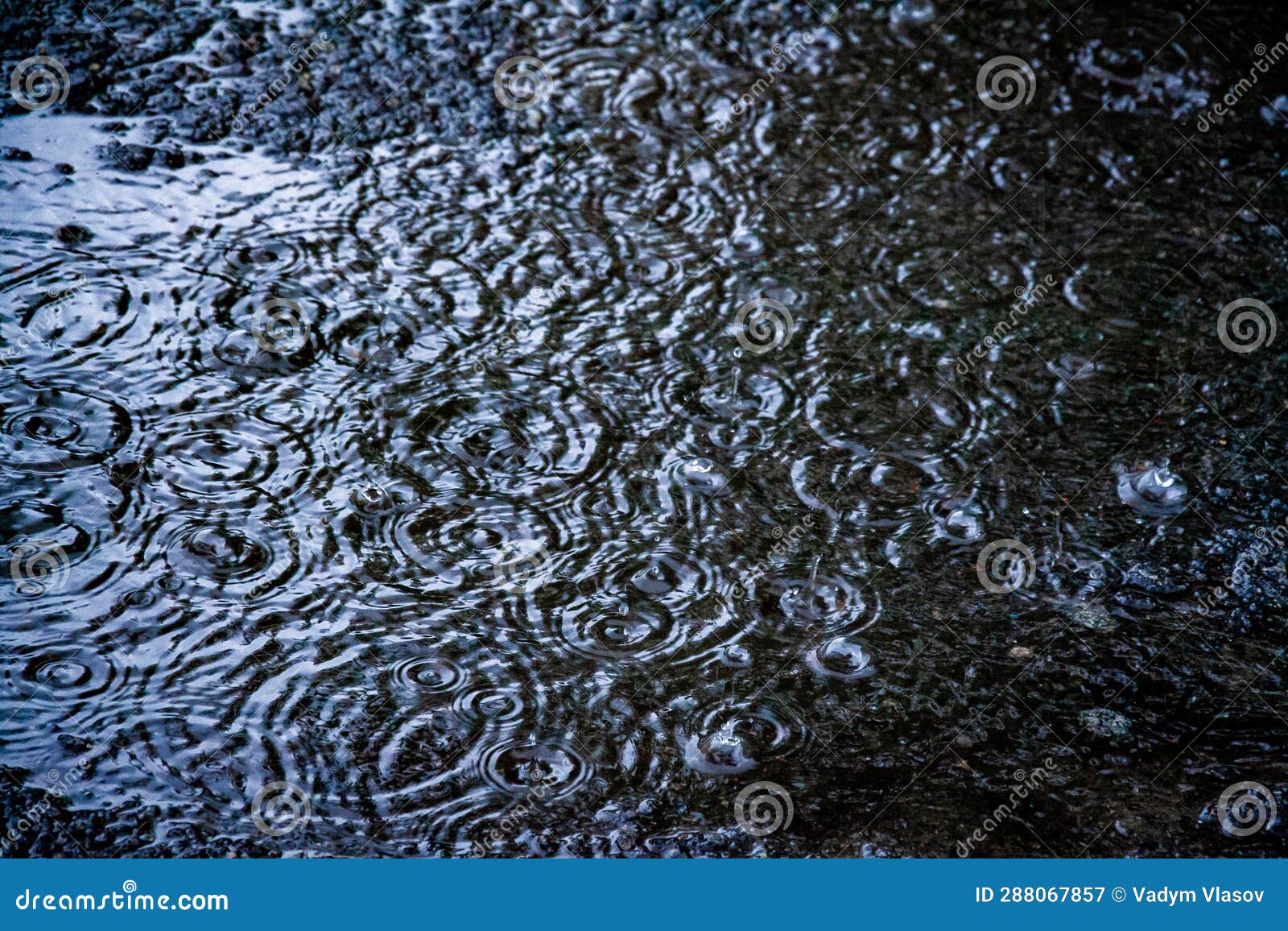 Rain bubbles in a puddle stock image. Image of reflection - 288067857