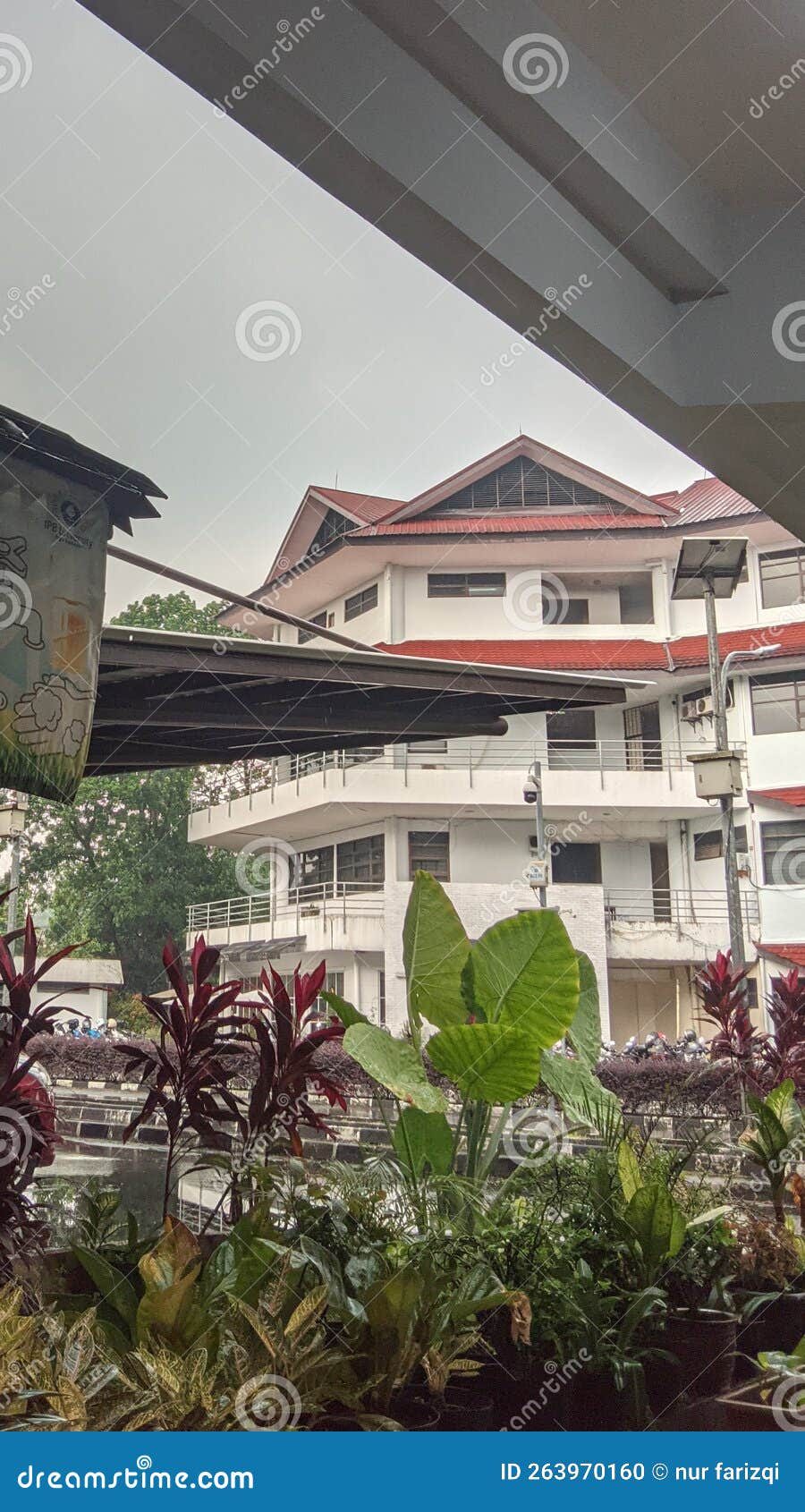 Rain and a Building Inside the Agricultural University Stock Photo ...
