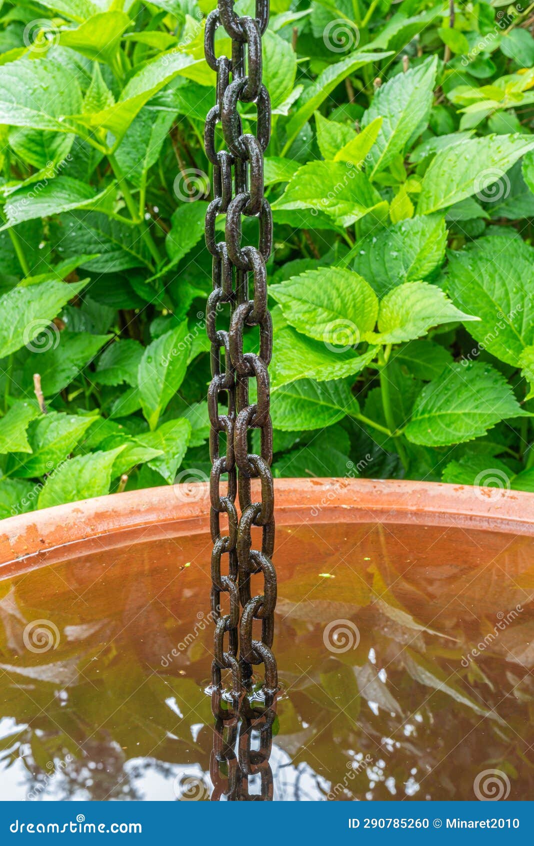 Rain Chain with Water Tank in Garden Stock Photo - Image of exterior ...