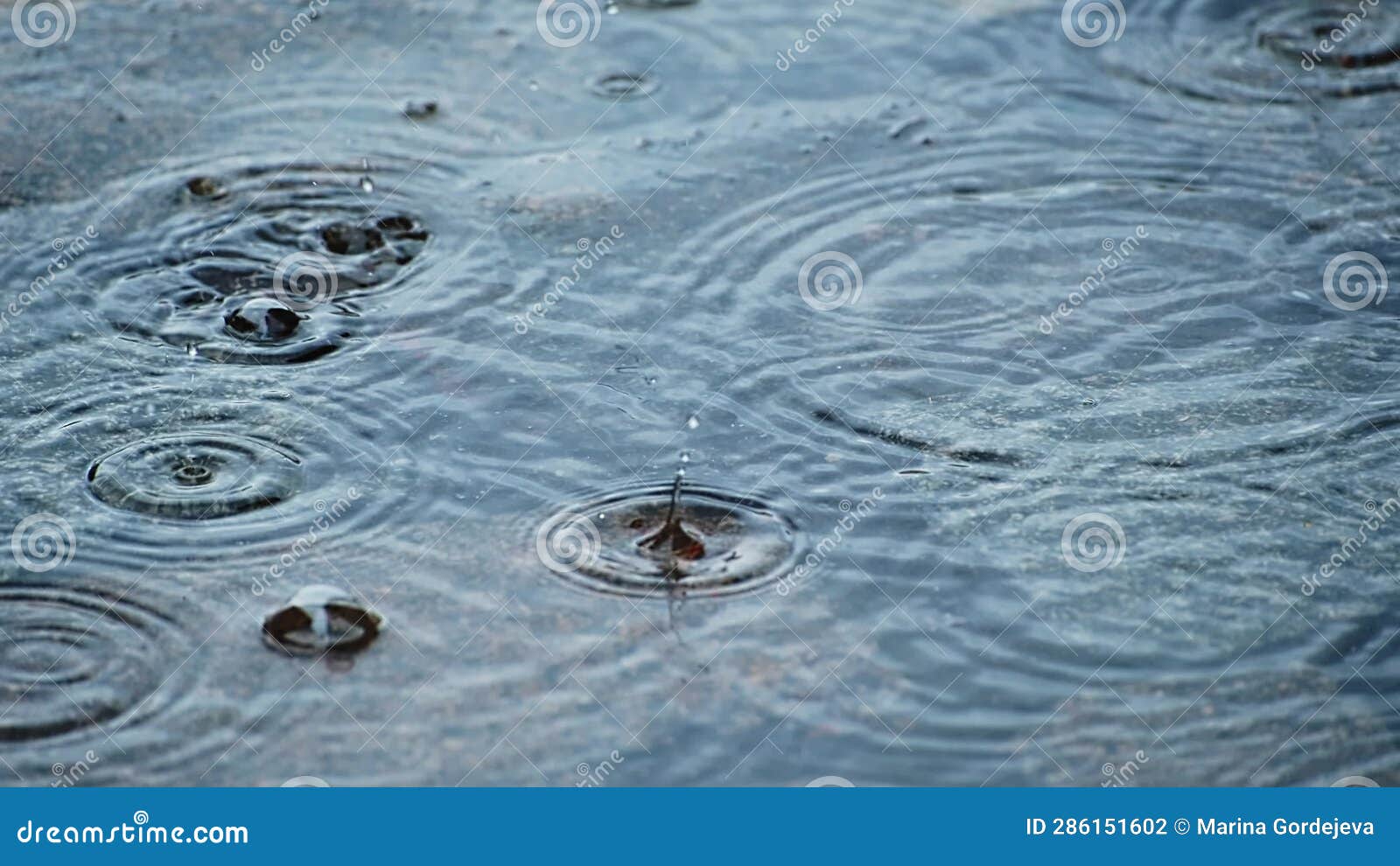 Rain in the City. Raindrops Fall on the Surface of the Puddle Forming ...