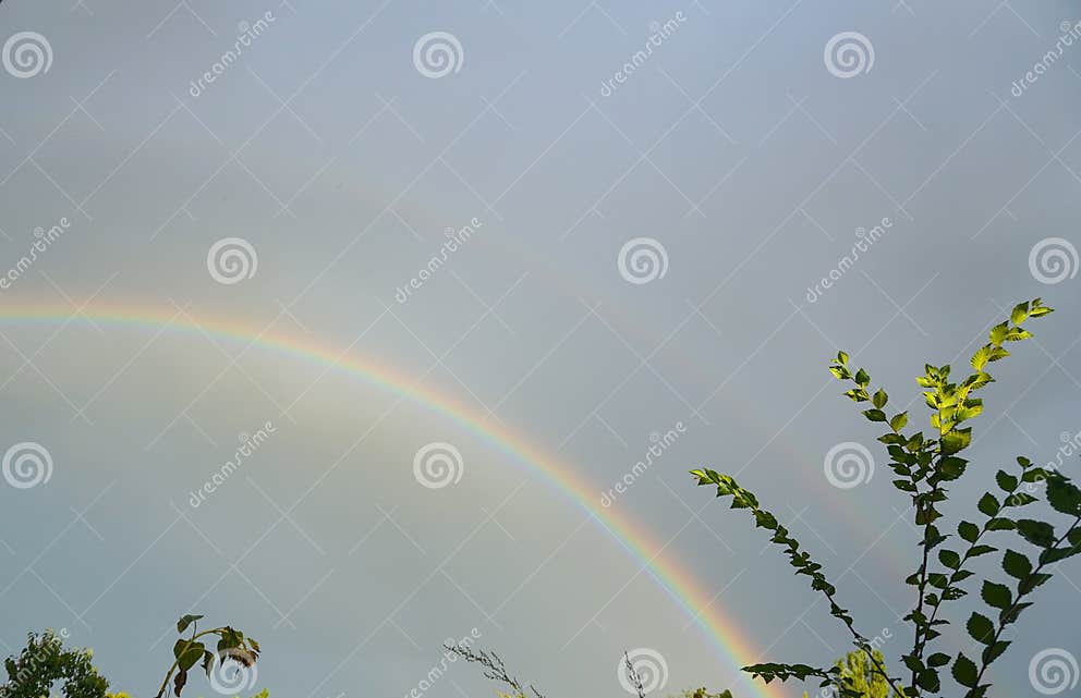 A Colorful Rainbow Appeared in the Sky Stock Photo - Image of calm ...