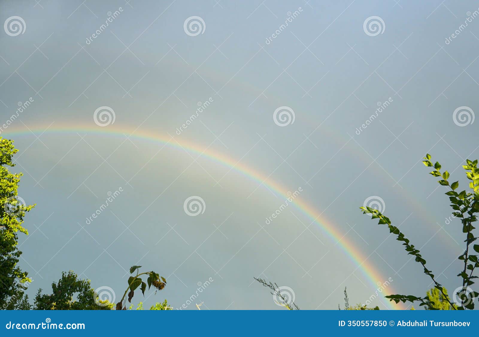 A Colorful Rainbow Appeared in the Sky Stock Photo - Image of beautiful ...