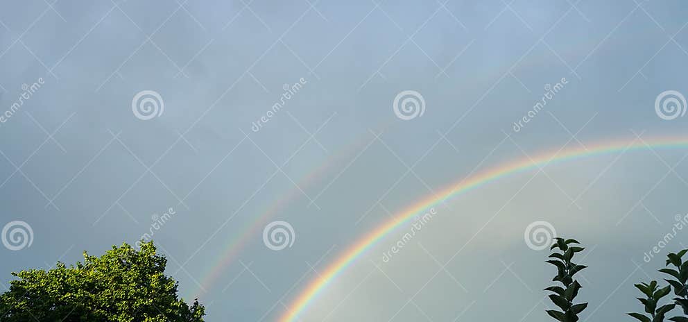 A Colorful Rainbow Appeared in the Sky Stock Image - Image of green ...