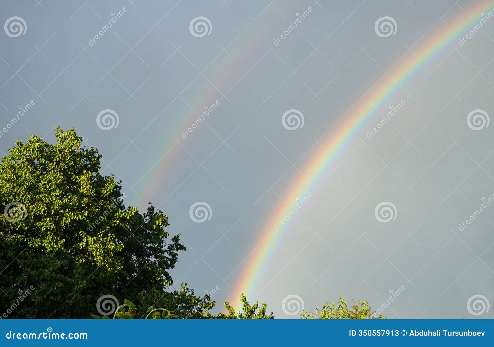 A Colorful Rainbow Appeared in the Sky Stock Image - Image of forest ...