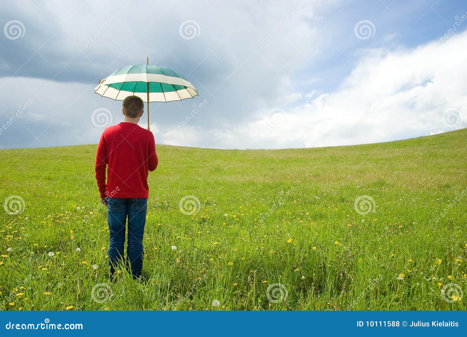 Rain conception stock photo. Image of concepts, meadow - 10111588