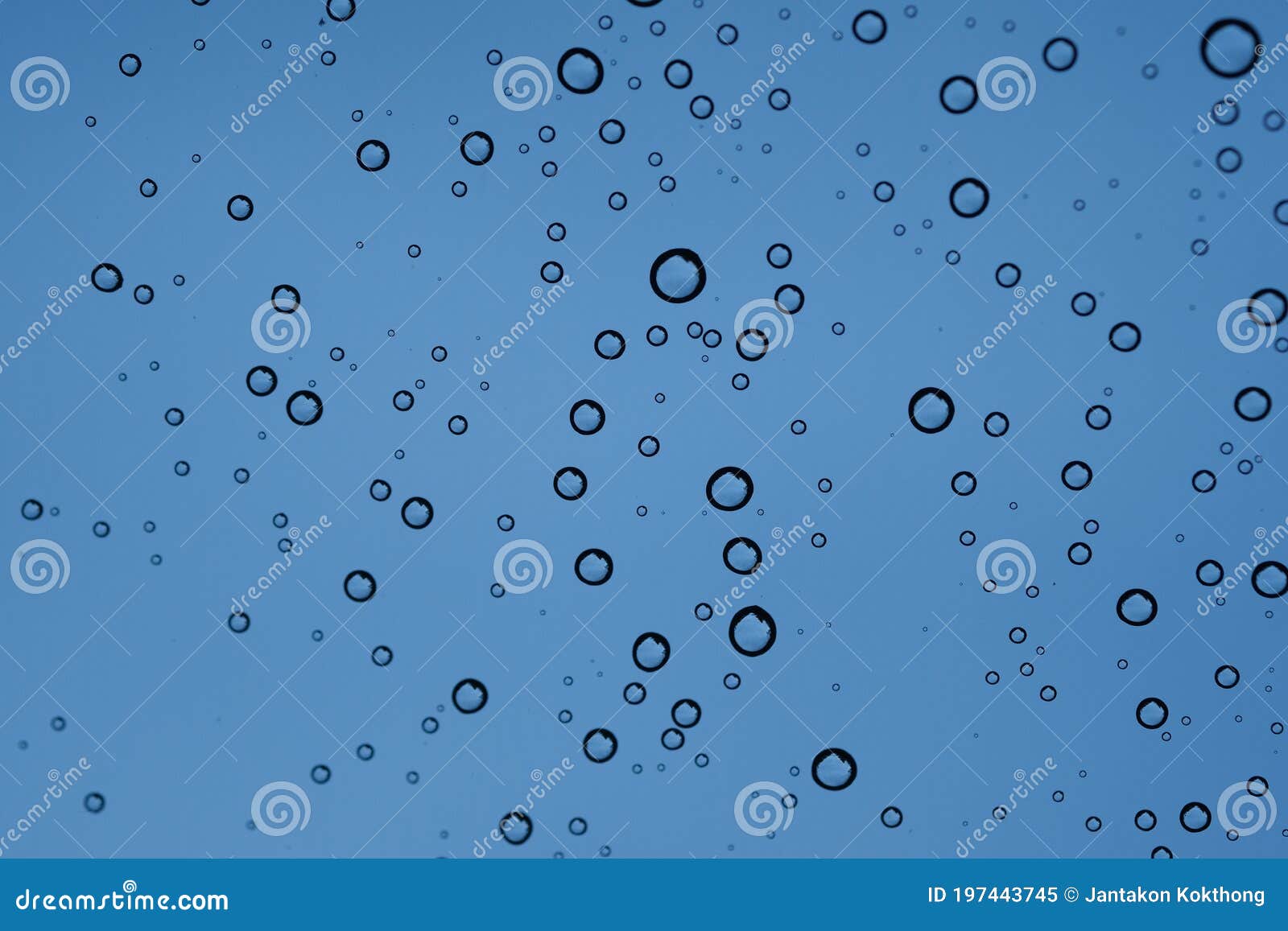 The Rain Dot Water for Background Stock Image - Image of drops ...