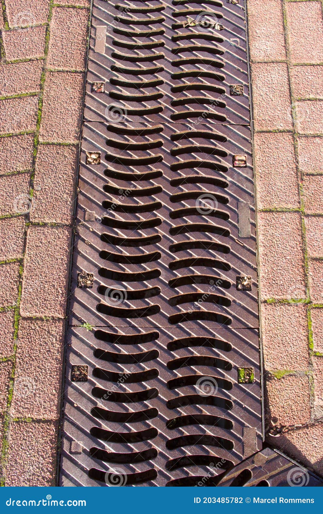 Dutch Grid Girls Promotion Team Zandvoort Editorial Photo ...