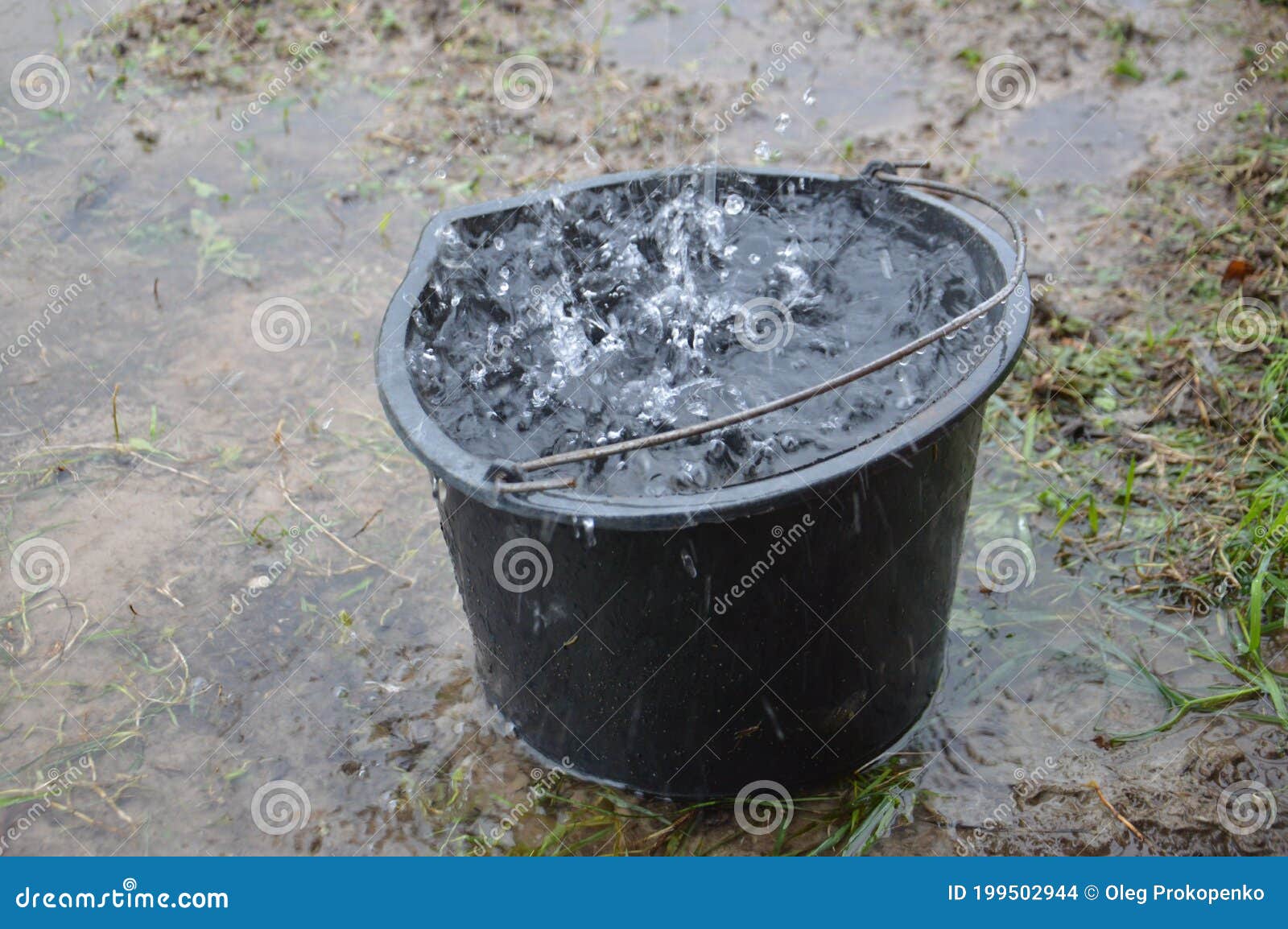 Rain Drips into a Bucket from the Drain Stock Photo - Image of sewage ...