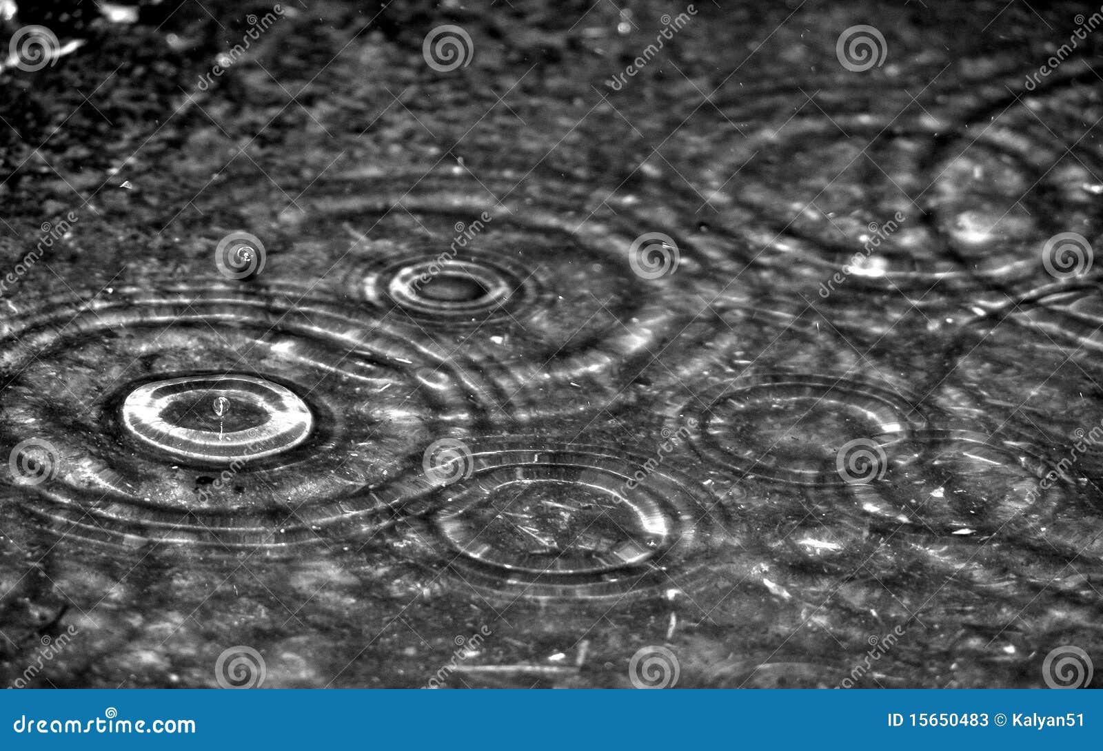Rain drop stock image. Image of bright, black, drop, white - 15650483