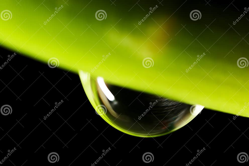 Rain-drop stock photo. Image of hydro, health, environment - 1860912