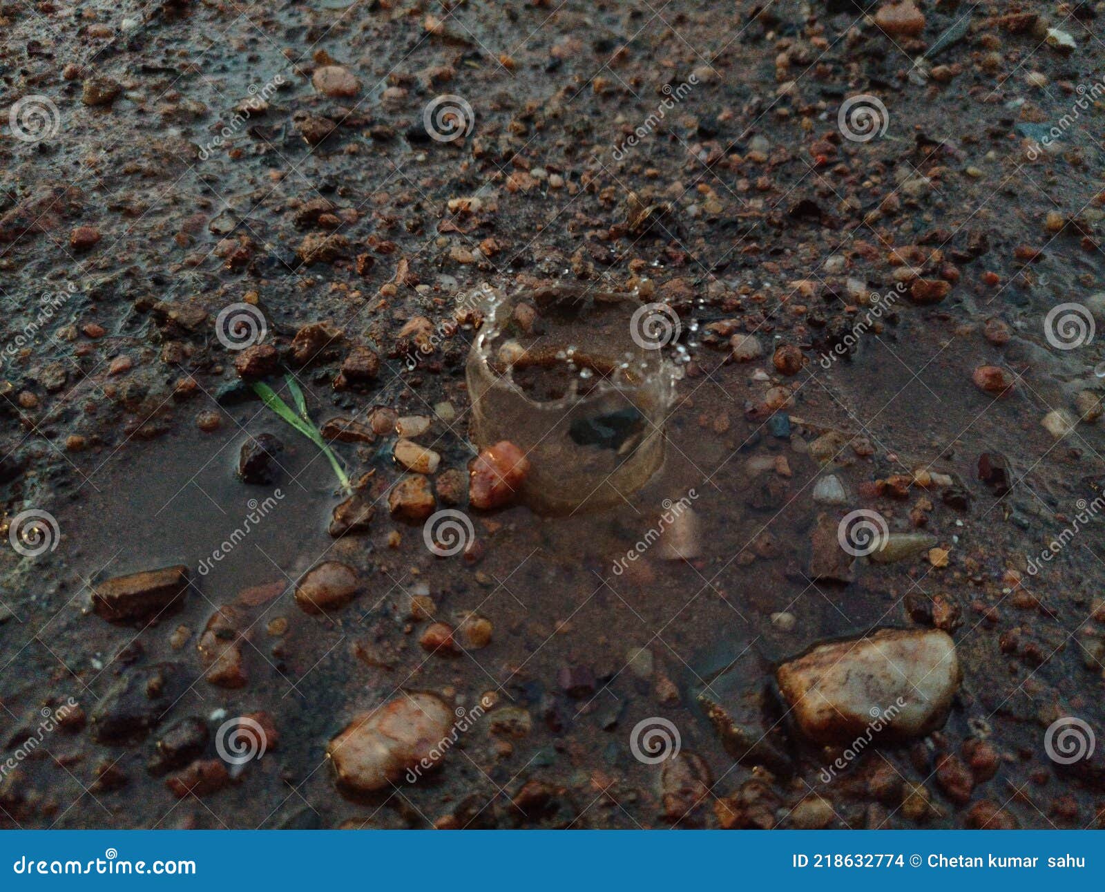 Rain Drop Falling on Ground Stock Photo - Image of ground, still: 218632774