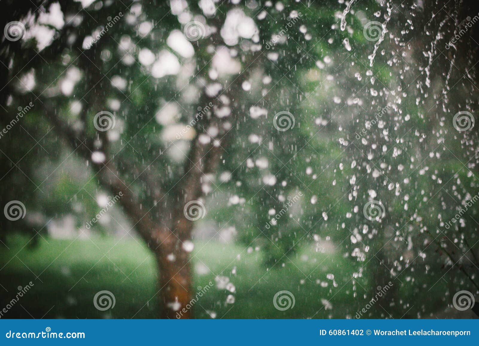 Rain Drop on Nature Background Stock Photo - Image of nature, falling ...