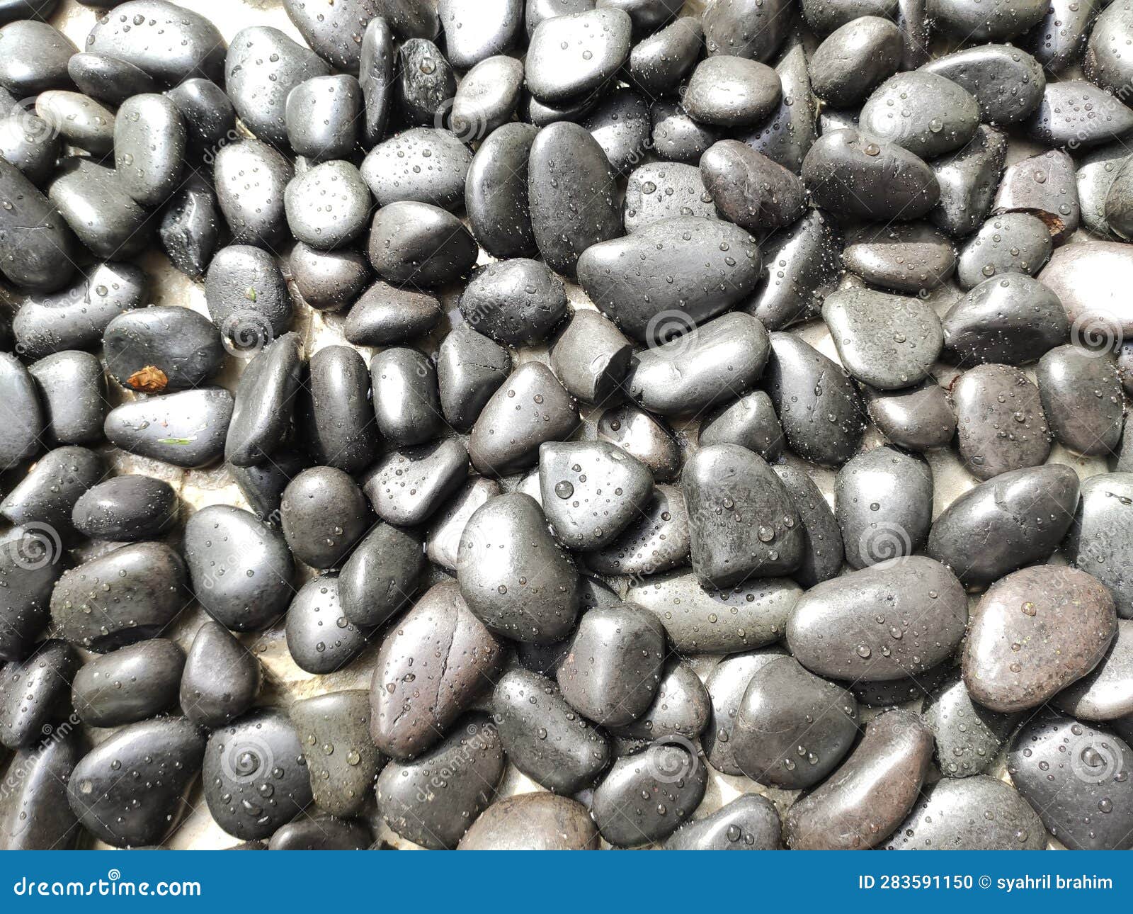 Rain Drop on Pebble Stone Texture Background. Stock Photo - Image of ...