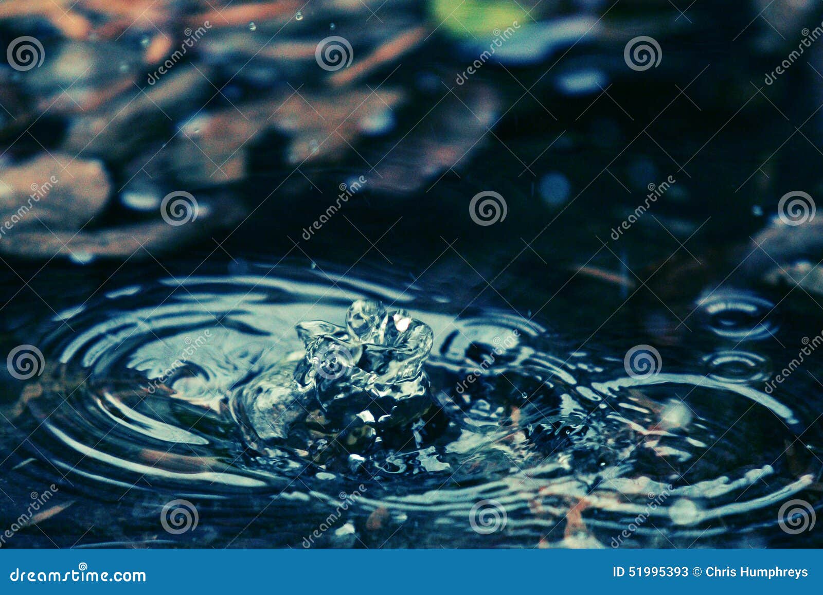 8,169 Drop Puddle Rain Photos - Free & Royalty-Free Stock Photos from ...