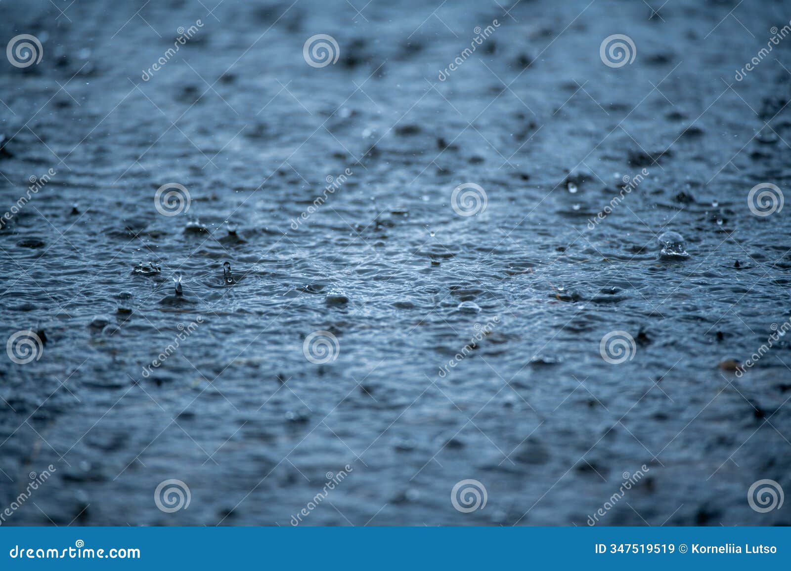 Rain Drop. Raining Time. Raining. Falling Raindrops. Water Background ...
