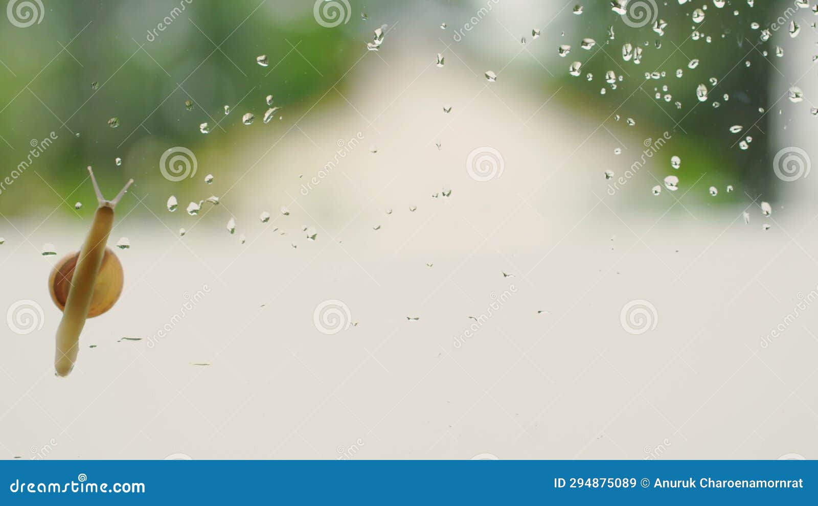 Rain Drop and Snail Walking on Window Stock Video - Video of animal ...