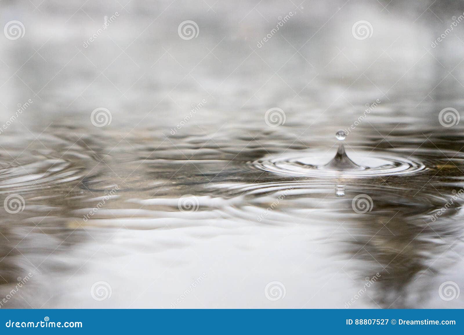 Rain drop stock image. Image of bokeh, nature, drop, harmony - 88807527