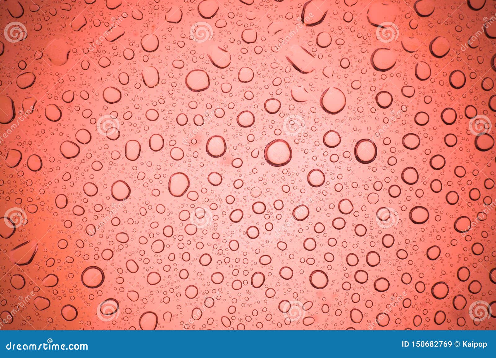 Rain Droplets on Red Glass Background, Water Drops on Glass Stock Image ...
