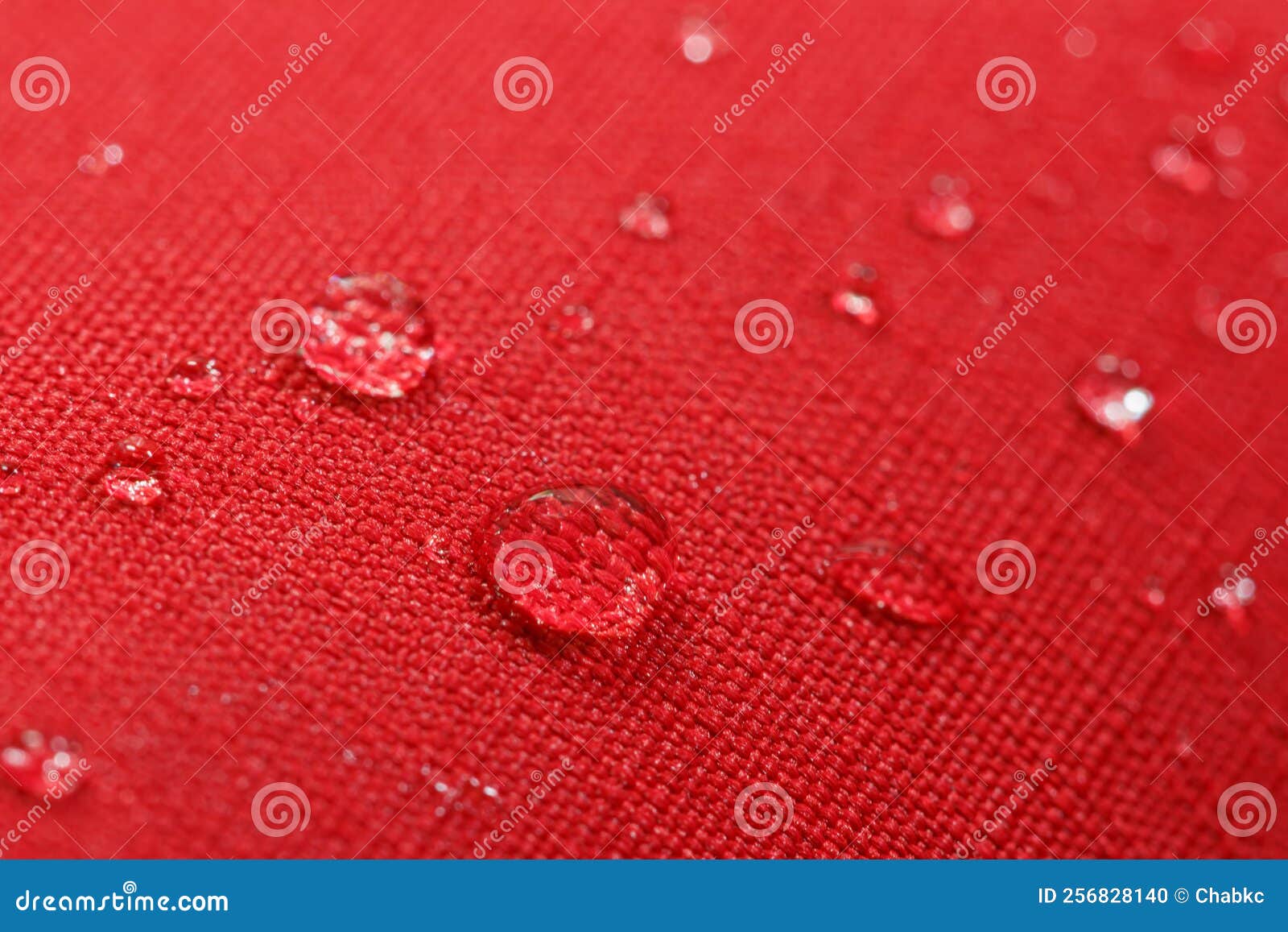 Rain droplets. stock photo. Image of droplets, nature - 256828140
